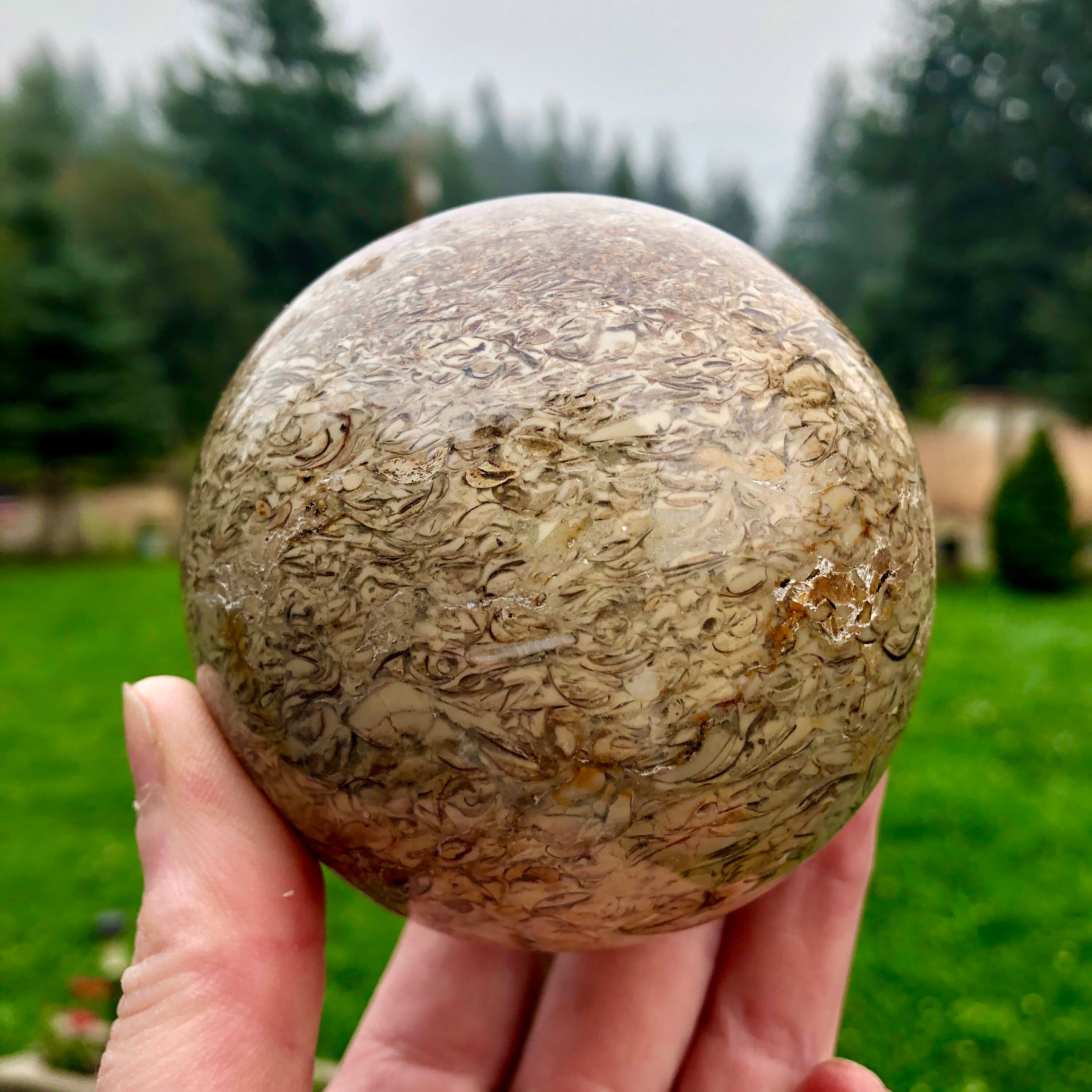 79mm Fossil Stone Jasper Sphere Orb Ball Mineral Display Specimen