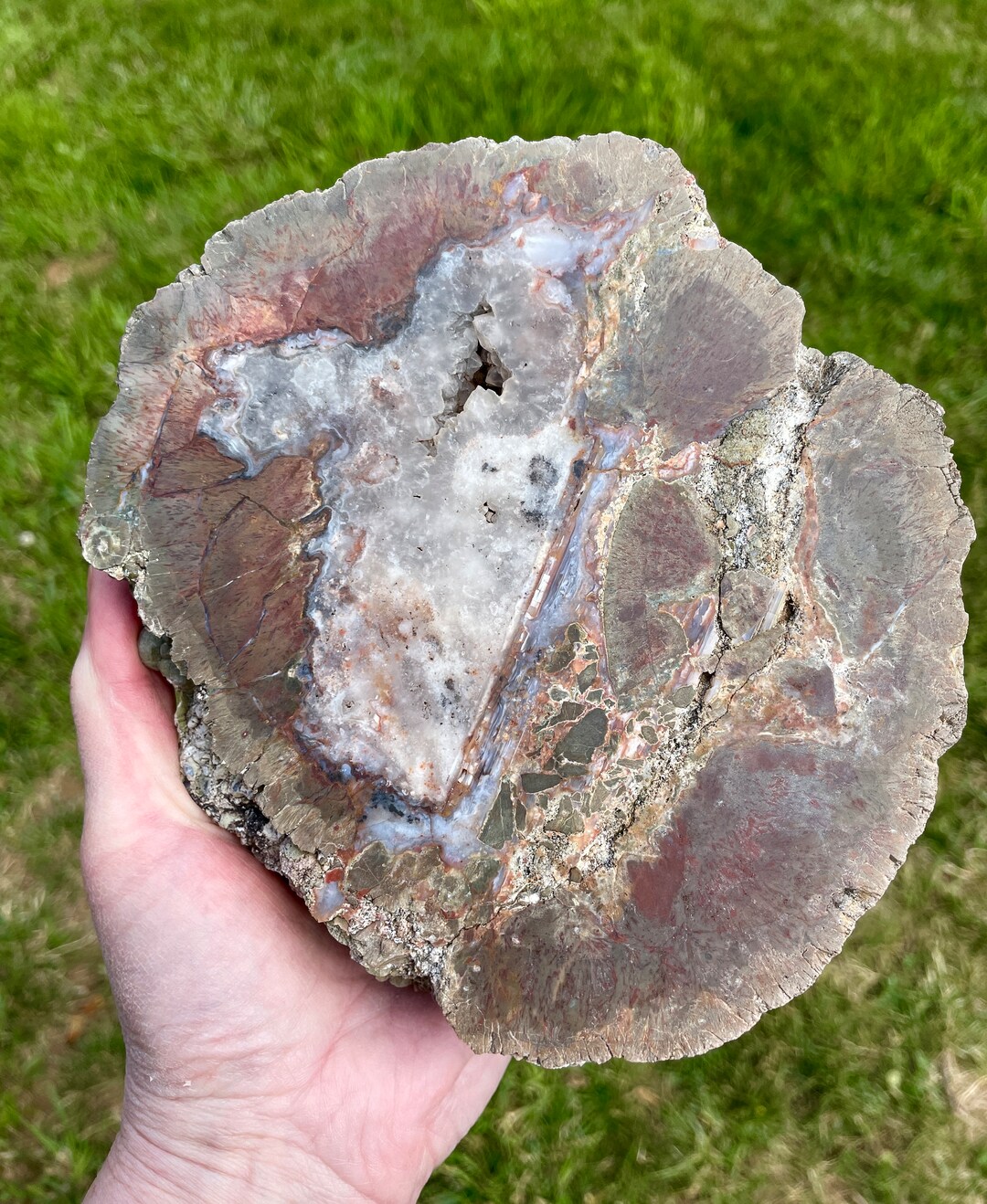 Dugway Geode Thunder Egg Mineral Display Specimen Half 4.99 Lbs - Etsy