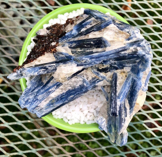 Large Blue and White Kyanite Crystal Cluster with Red Almandine Garnet