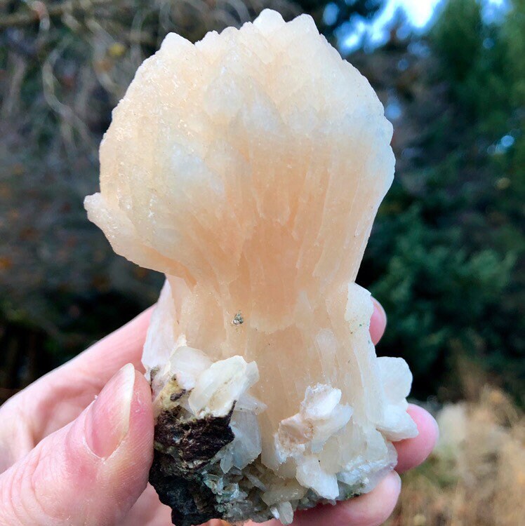 Large Twin Peach Stilbite Flower cluster with a bridge