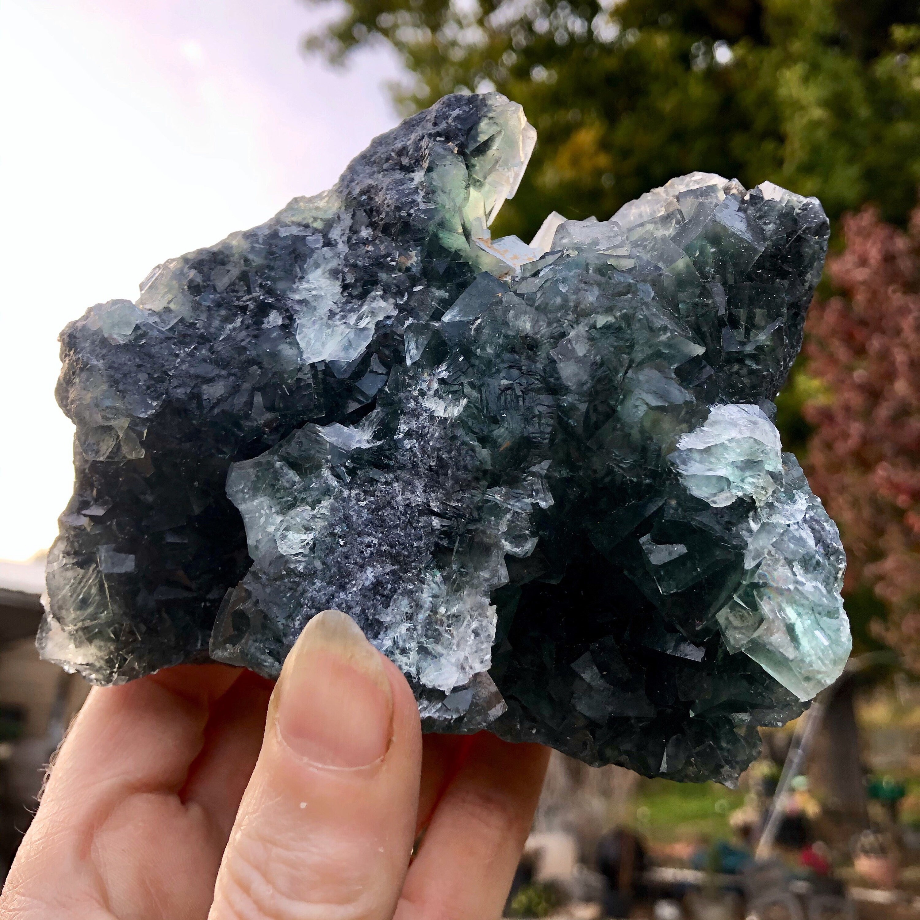734g Transparent Green Trapezoidal and Cubic Fluorite Large Crystal ...