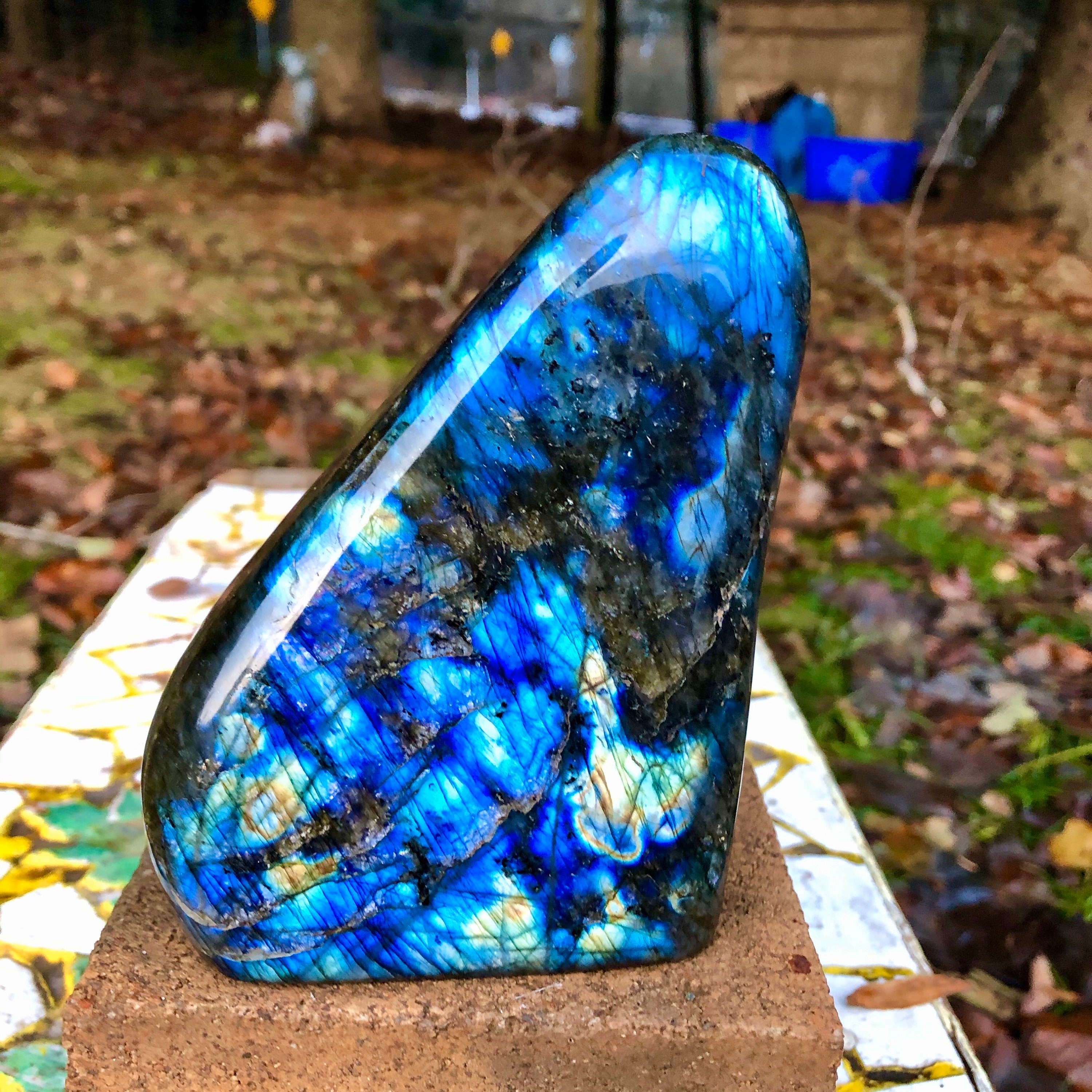 Blue Flash Spectralite Labradorite Standing Freeform Specimen
