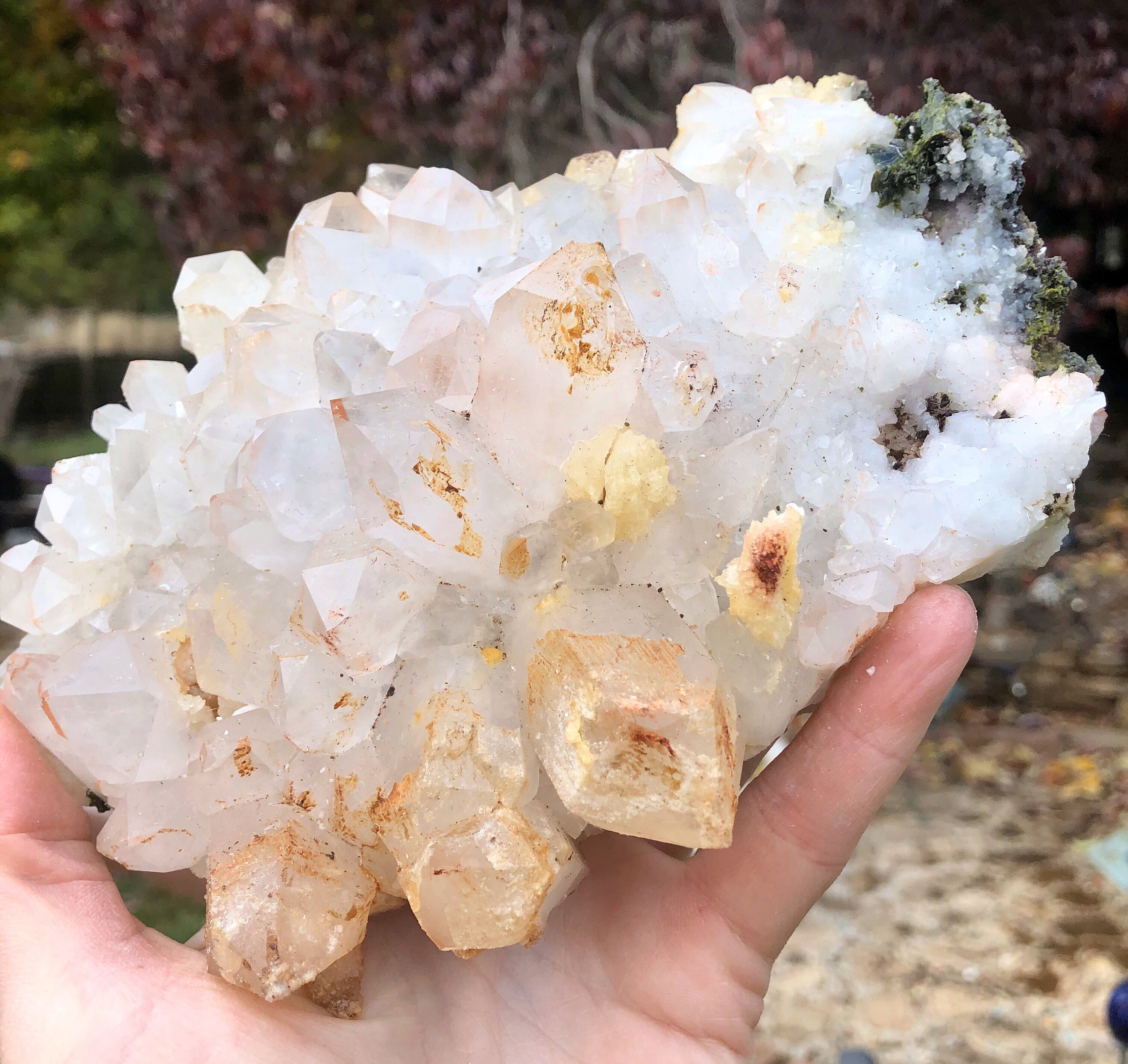 852g Quartz Crystal Cluster with Yellow Calcite Flowers and Green ...