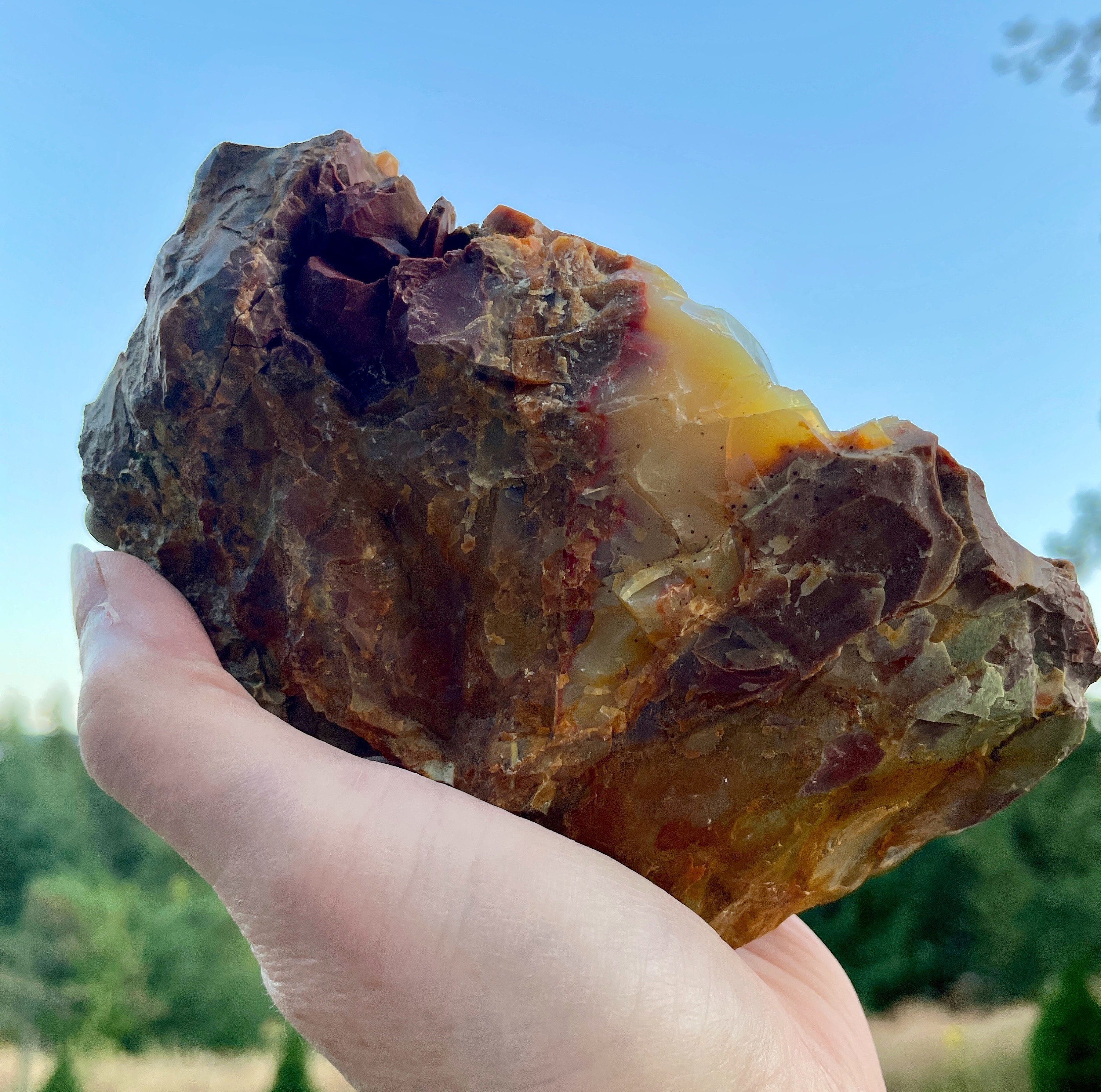 2.35 lb Oregon Opal on Rhyolite Jasper Mineral Display Specimen