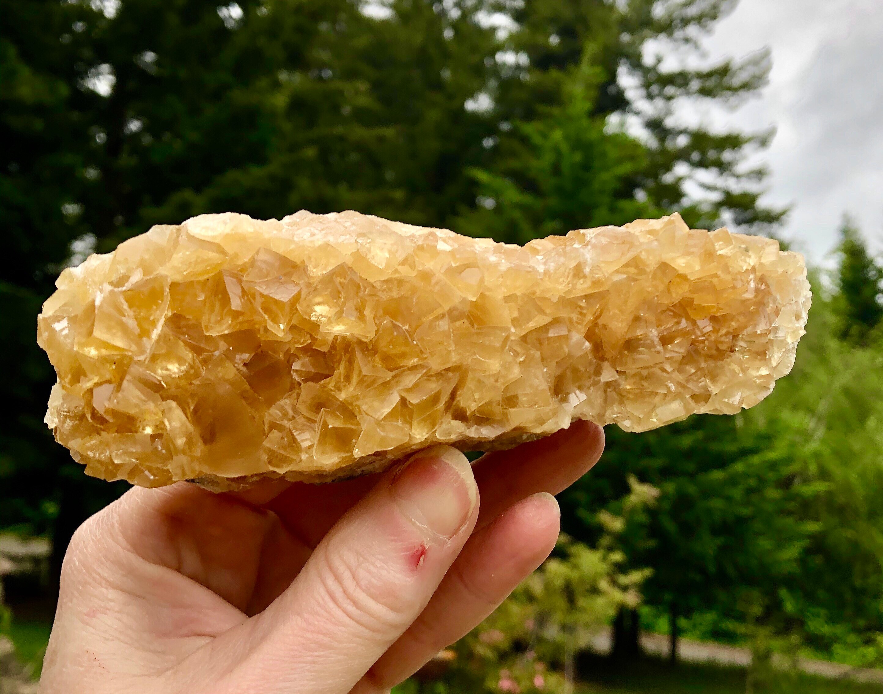 360g Golden Yellow Cubic Calcite Crystal Cluster Mineral Display Specimen