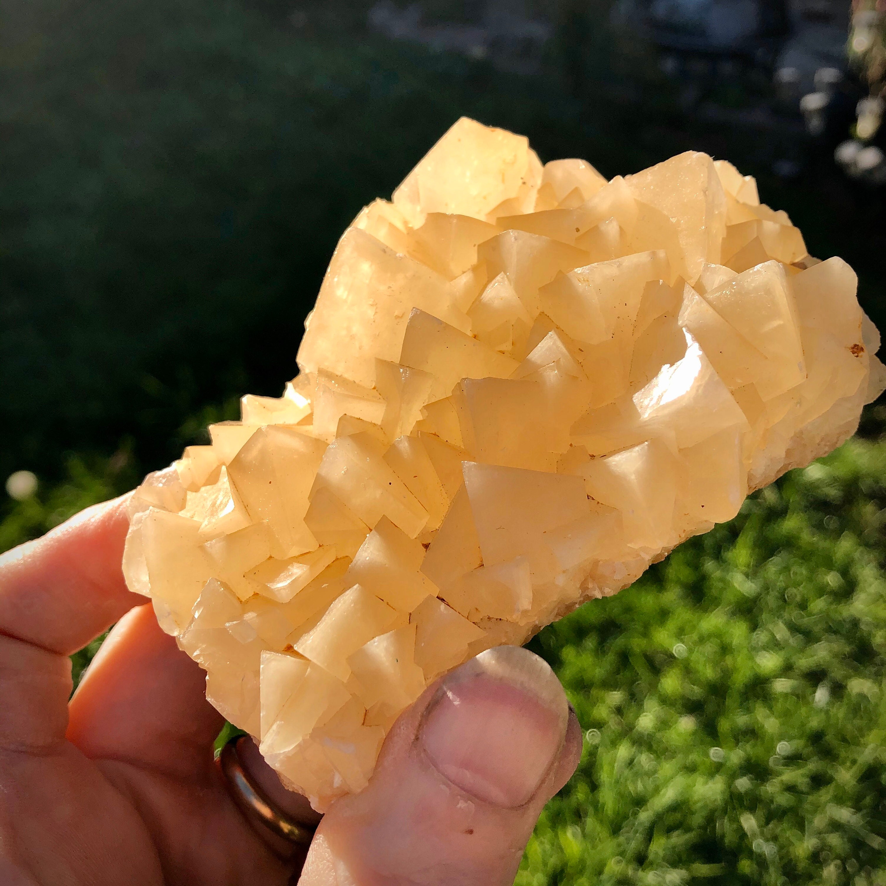 316g Yellow cubic and pyramid shaped Calcite crystal cluster mineral ...