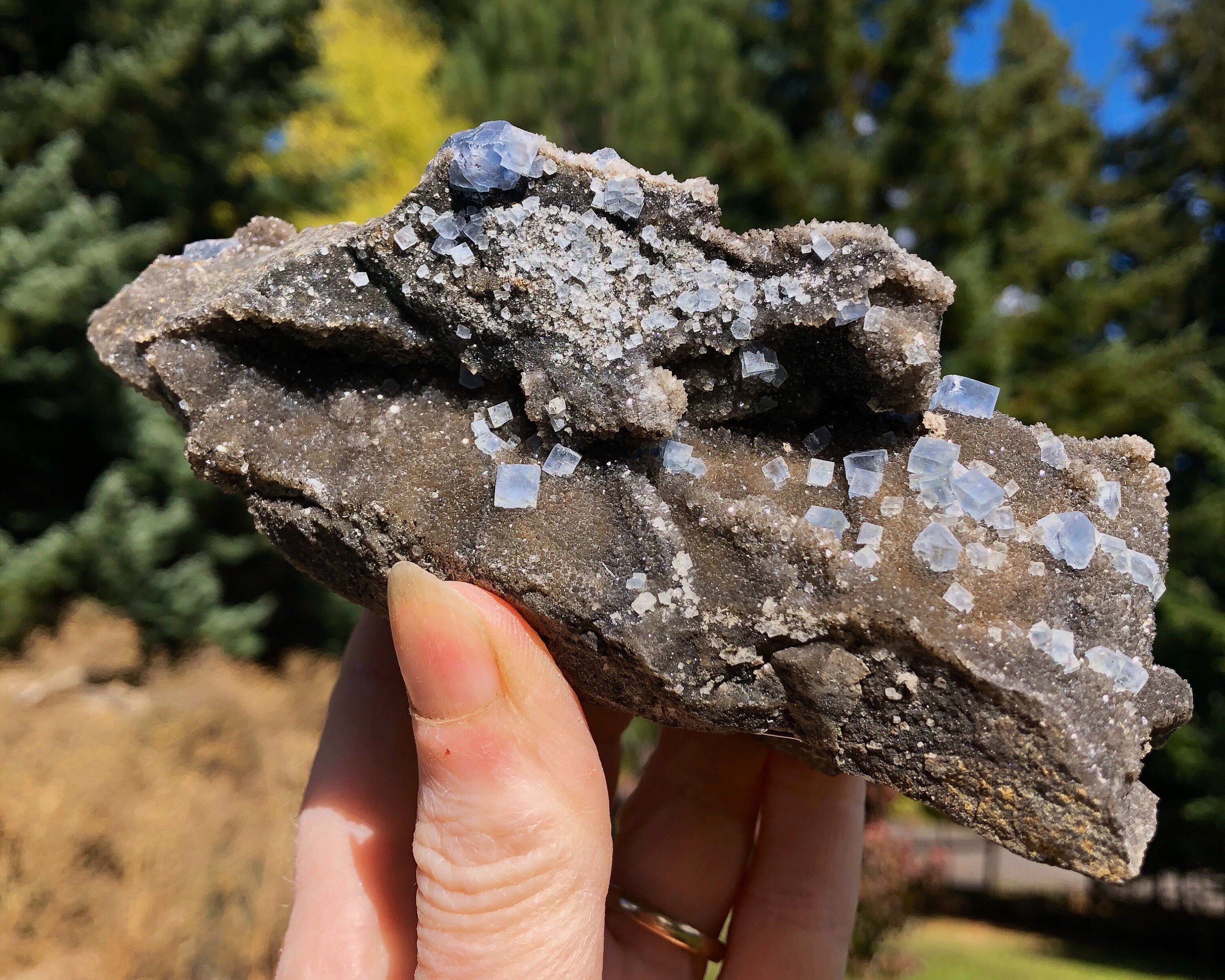 432g Blue Cubic Fluorite on Gray Druzy Smoky Quartz Crystal Cluster ...
