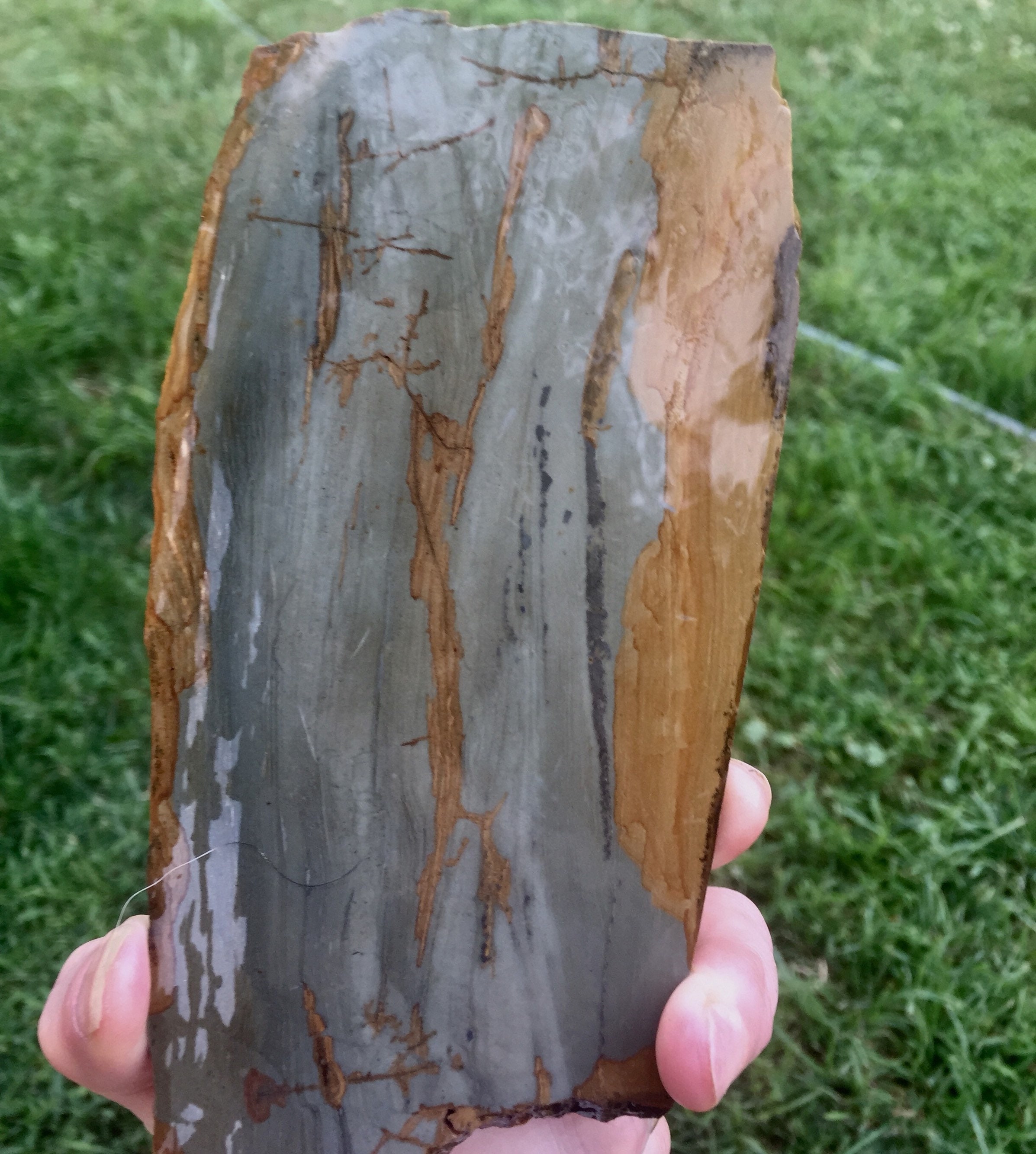 Large Owyhee Jasper slab from Oregon, USA for lapidary use, unpolished