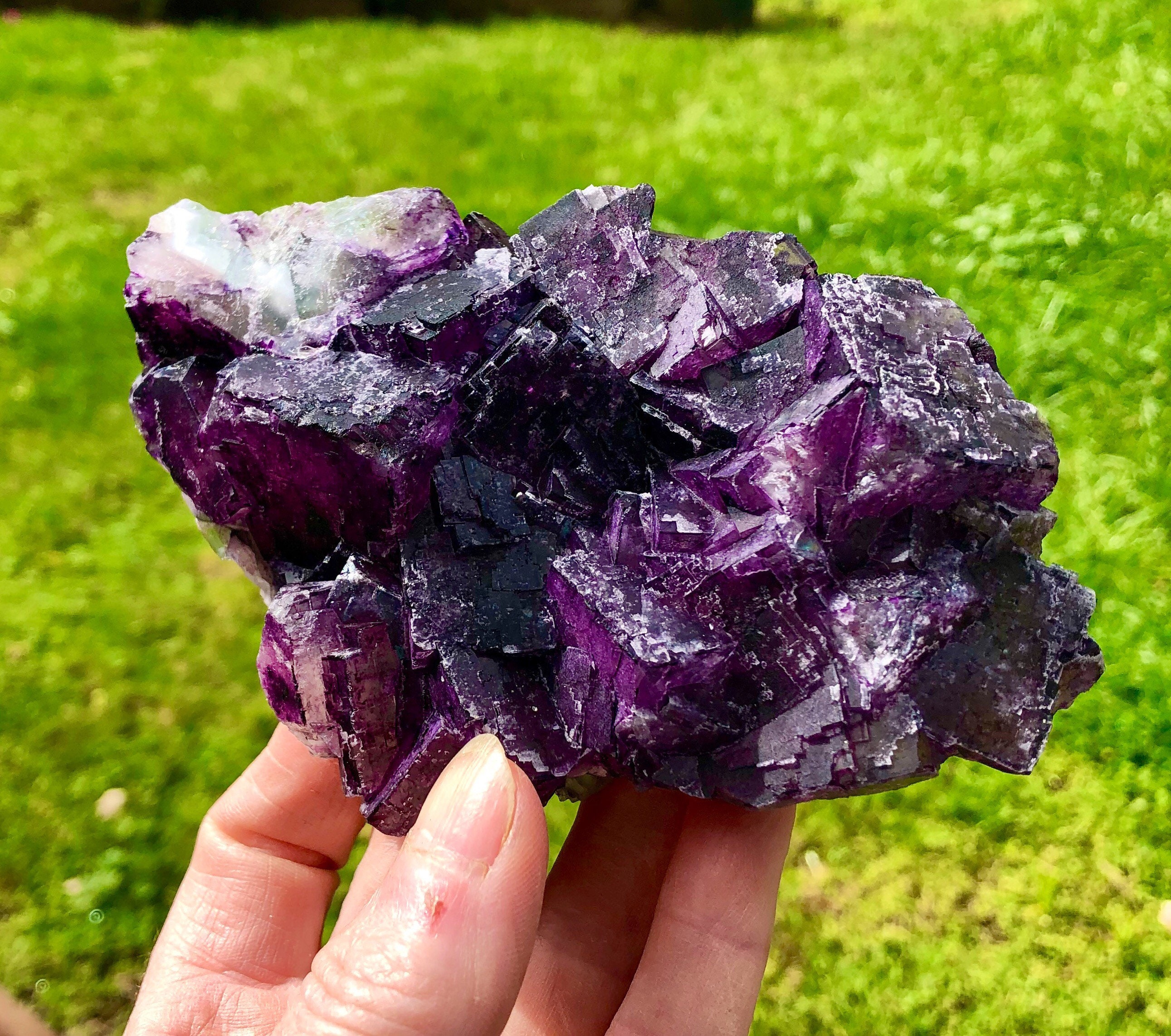 350g Dark Purple Cubic Ladder Fluorite Crystal Cluster Mineral Display ...
