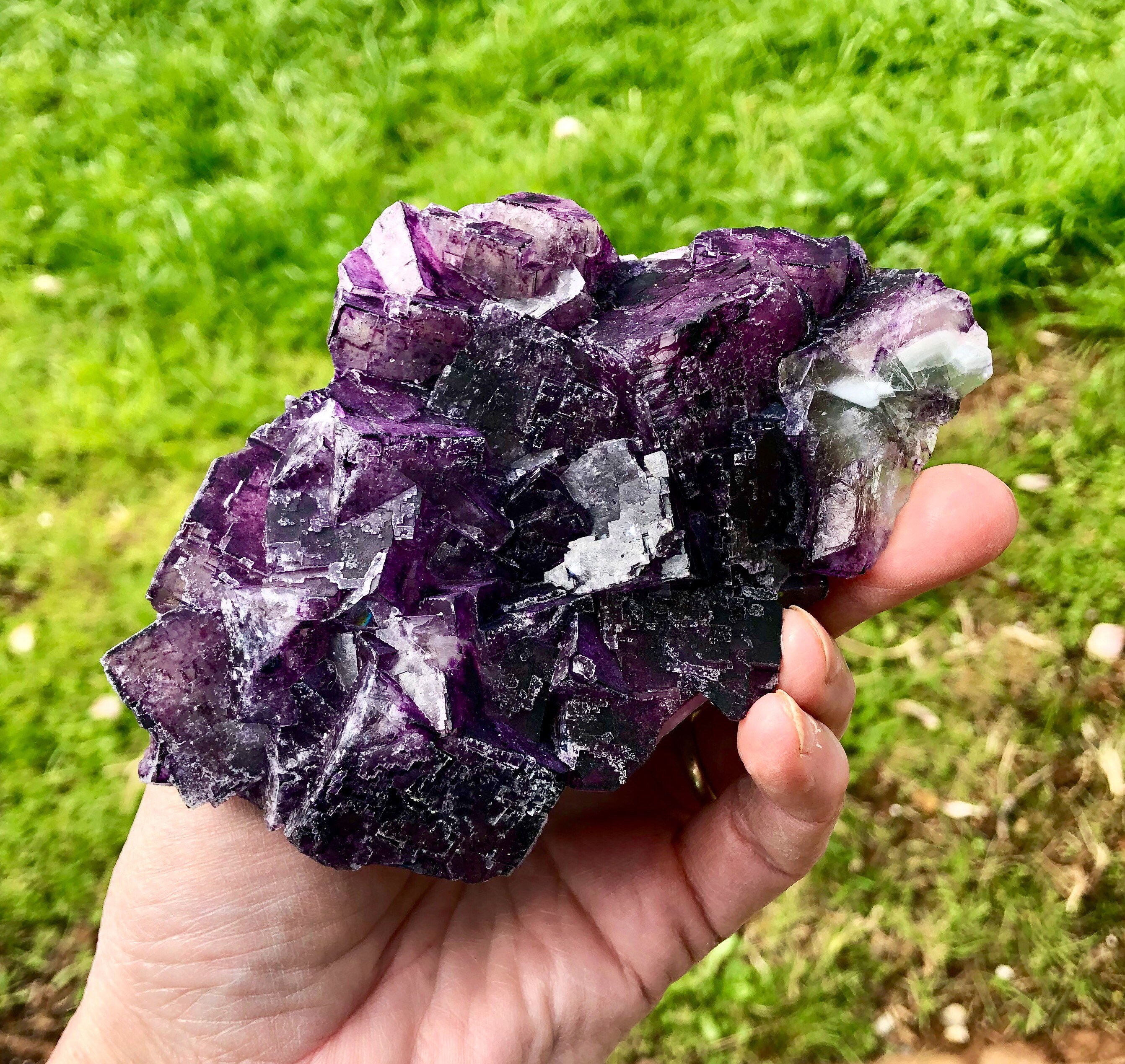 350g Dark Purple Cubic Ladder Fluorite Crystal Cluster Mineral Display ...