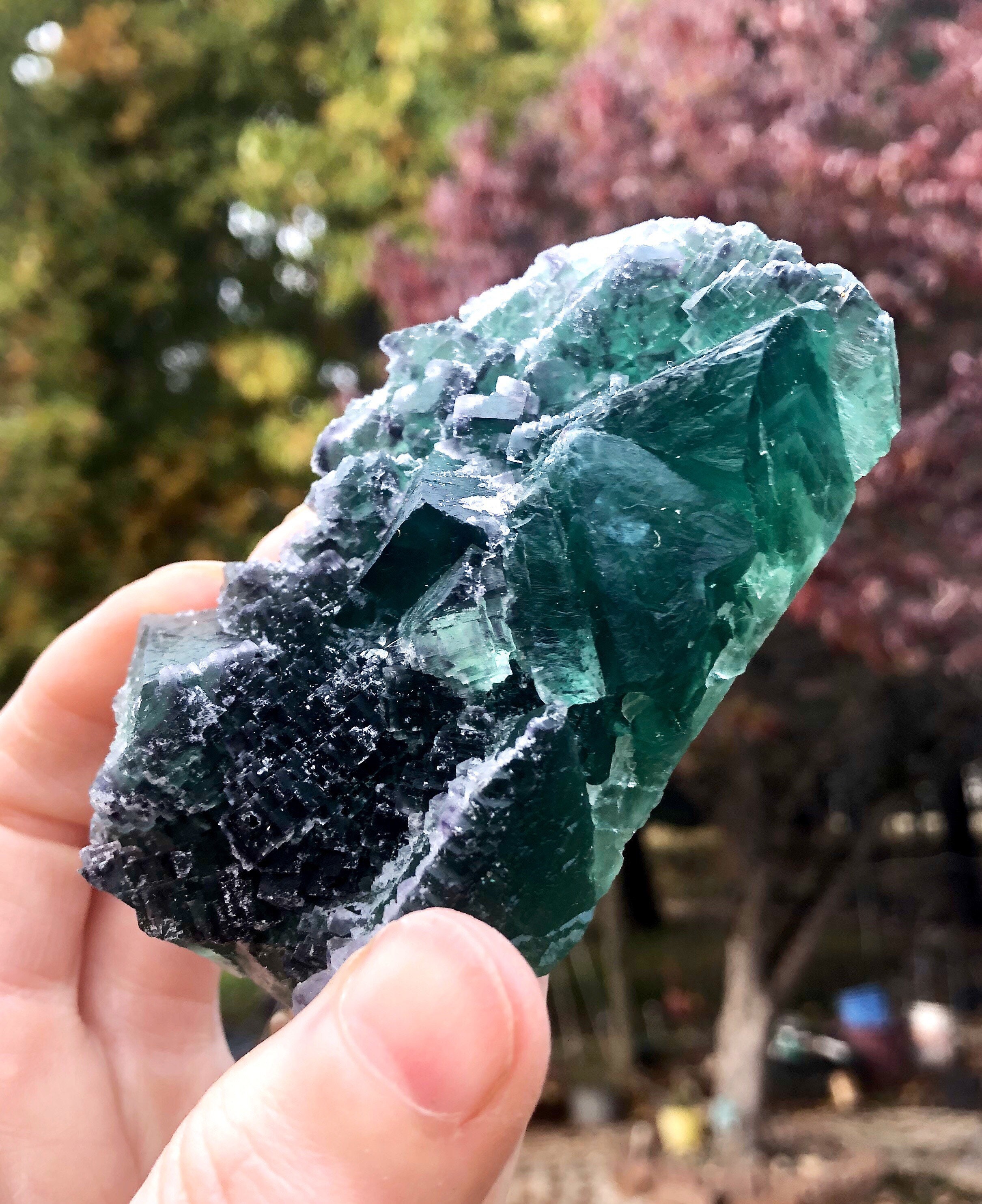 298g Transparent Deep Green Trapezoidal Fluorite Crystal Cluster with ...