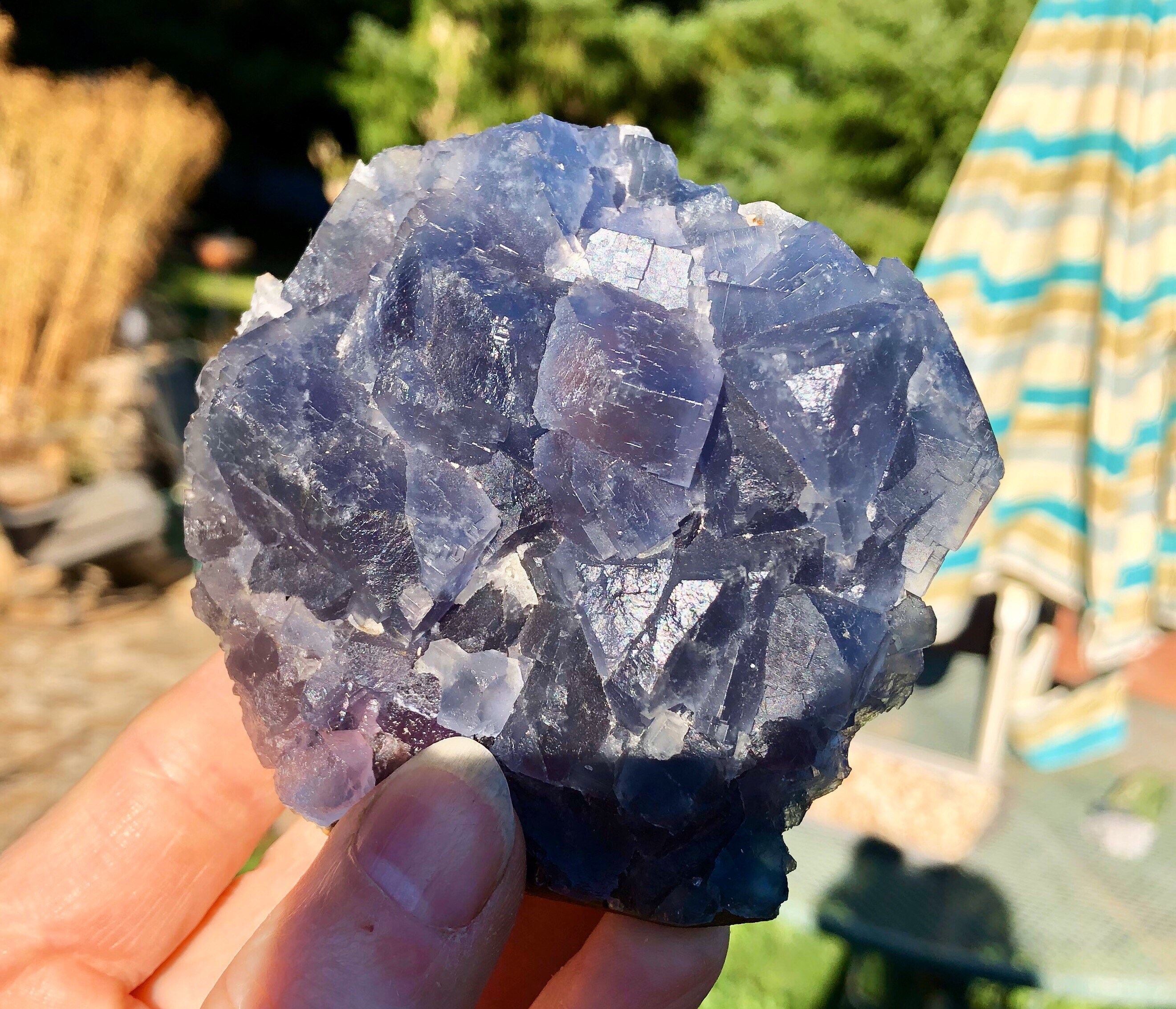 348g Blue Cubic Tetrahedron Fluorite Crystal Cluster Mineral Specimen ...