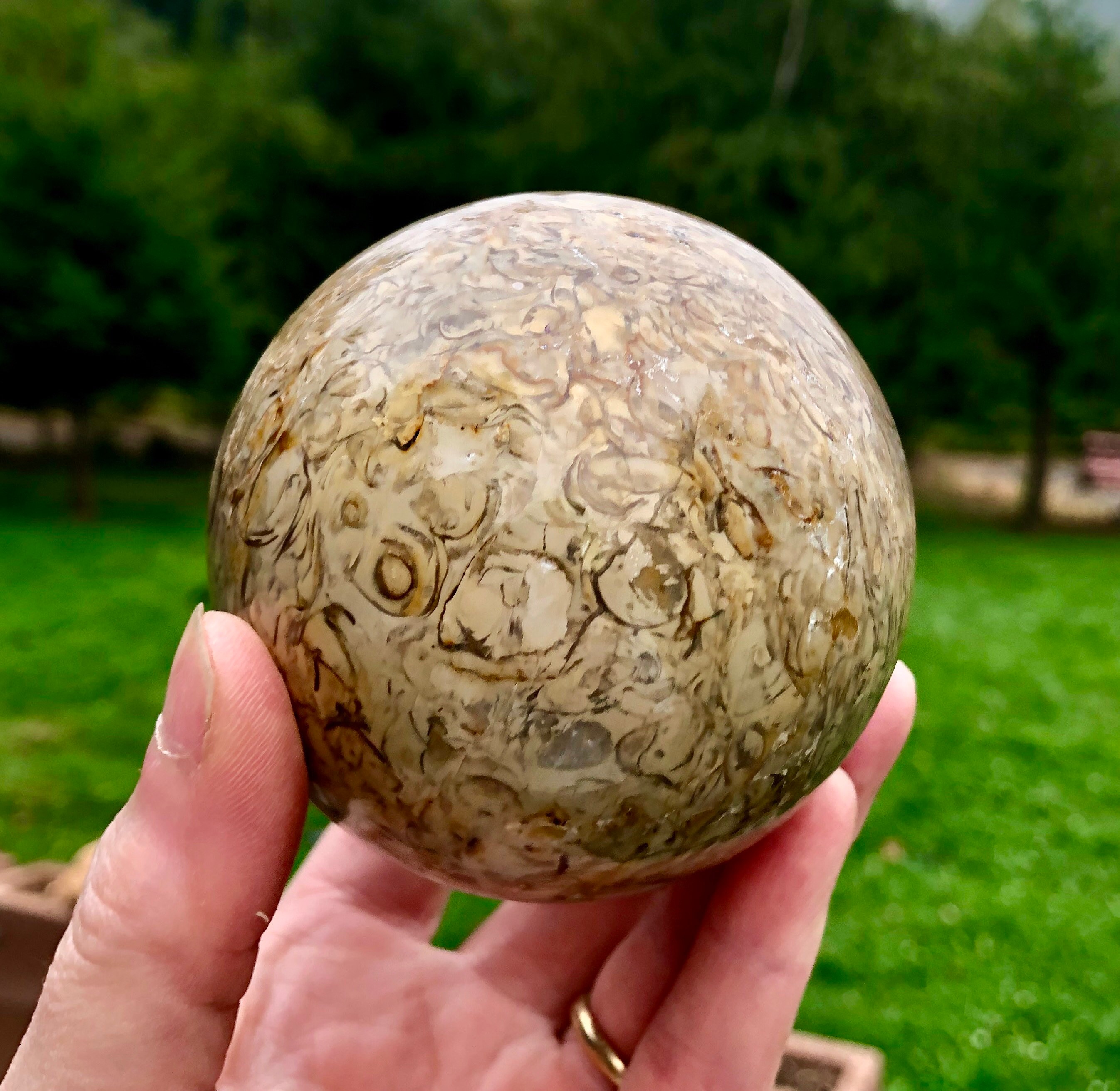 79mm Fossil Stone Jasper Sphere Orb Ball Mineral Display Specimen
