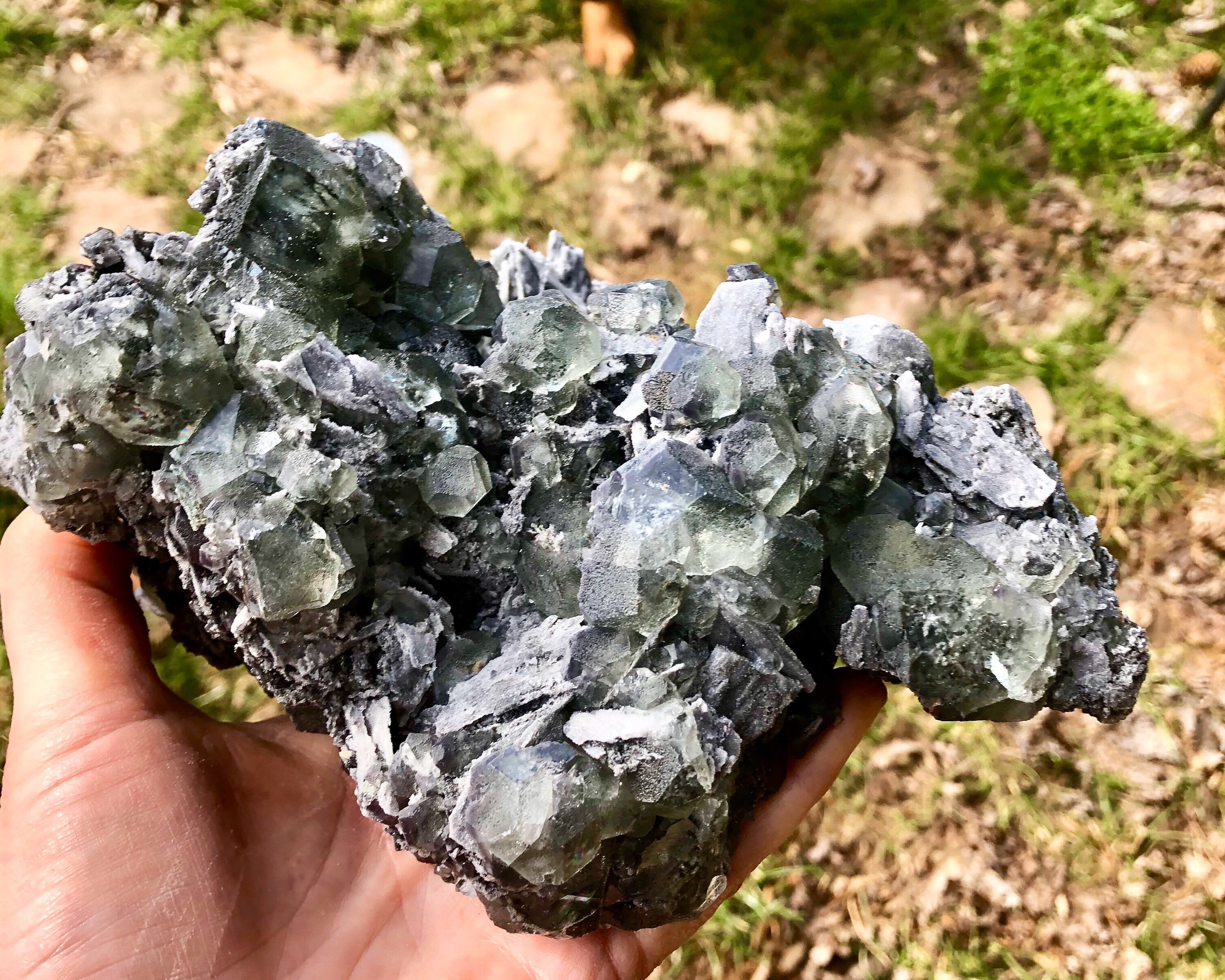 1978g Large Octagonal Green Fluorite On Druzy Gray Matrix Crystal ...