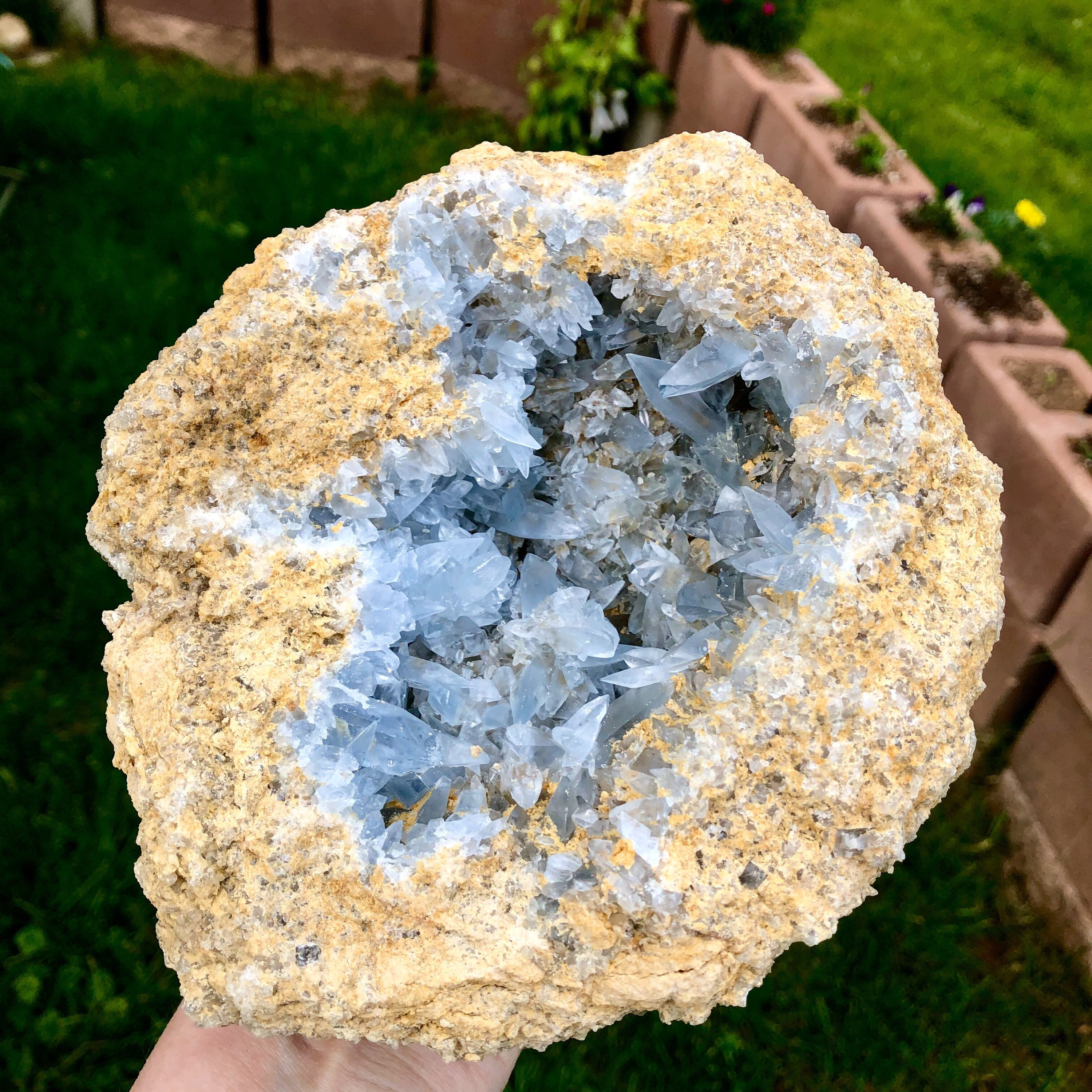5.73 lbs Blue Celestite Celestine Geode Crystal Cluster Mineral Display ...