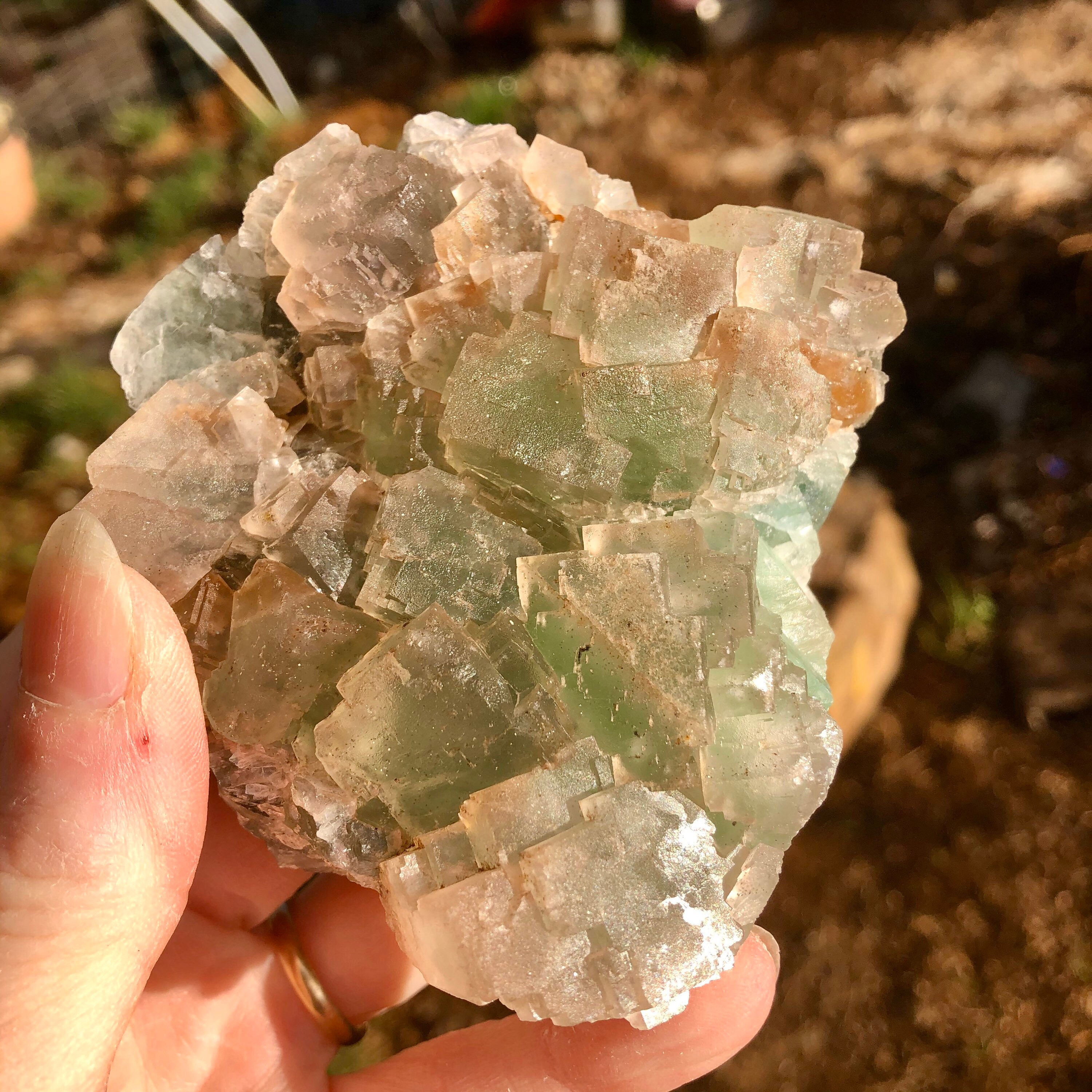 396g Purple Over Green Cubic Ladder Fluorite Crystal Cluster Mineral ...