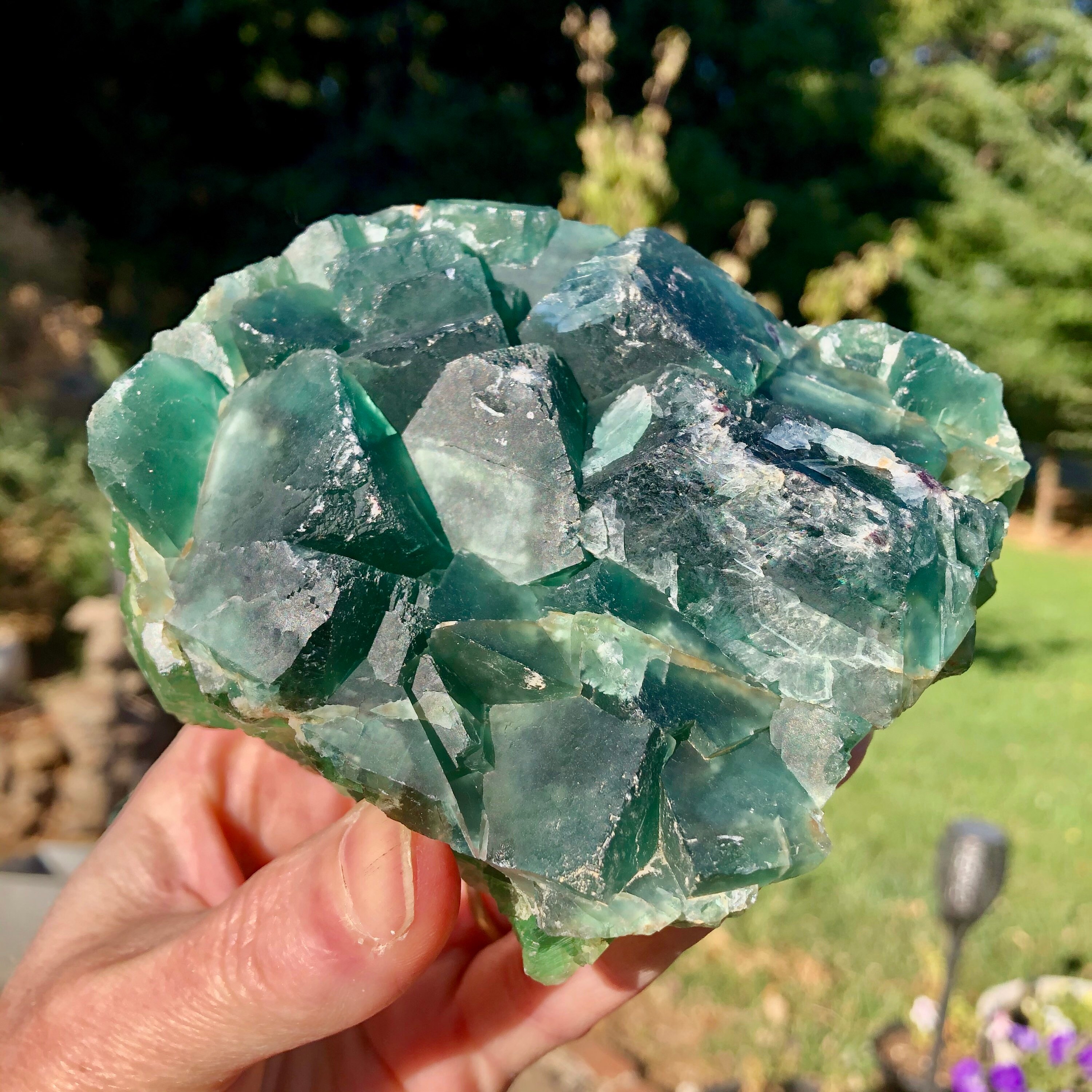950g Vivid Green Cubic Fluorite Crystal Cluster Display Specimen