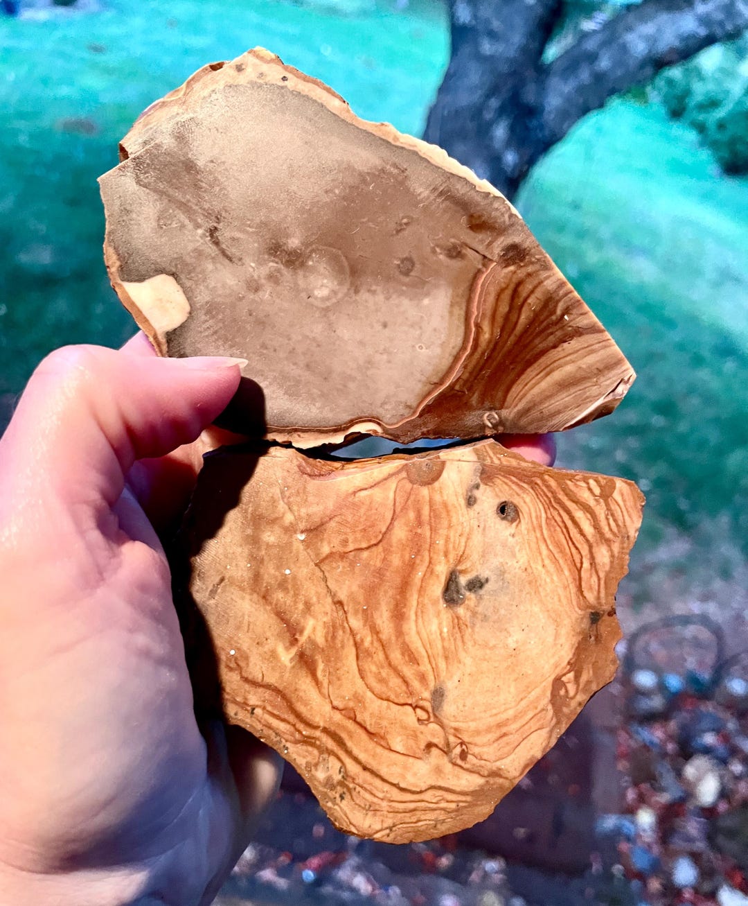 266g Biggs Jasper and Deschutes Jasper Rough Lapidary Stones - Etsy