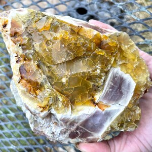 2.85 Lb Green Oregon Opal on Rhyolite Jasper Mineral Display Specimen ...