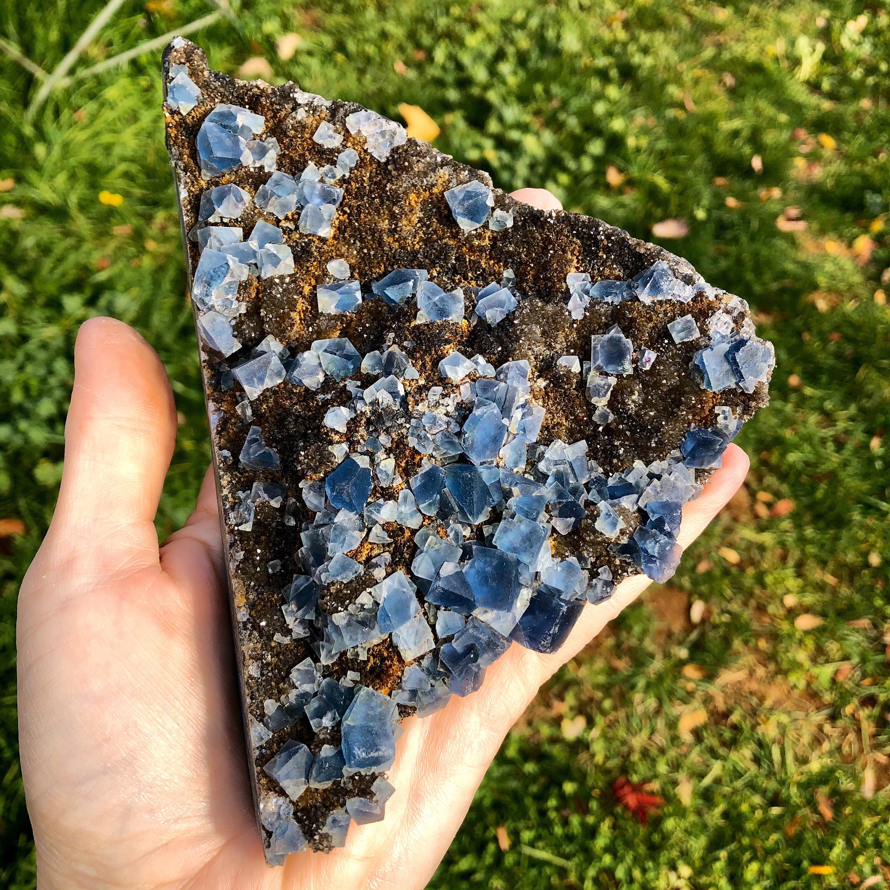 632g Blue Cubic Fluorite on Druzy Smoky Quartz Crystal Cluster Specimen
