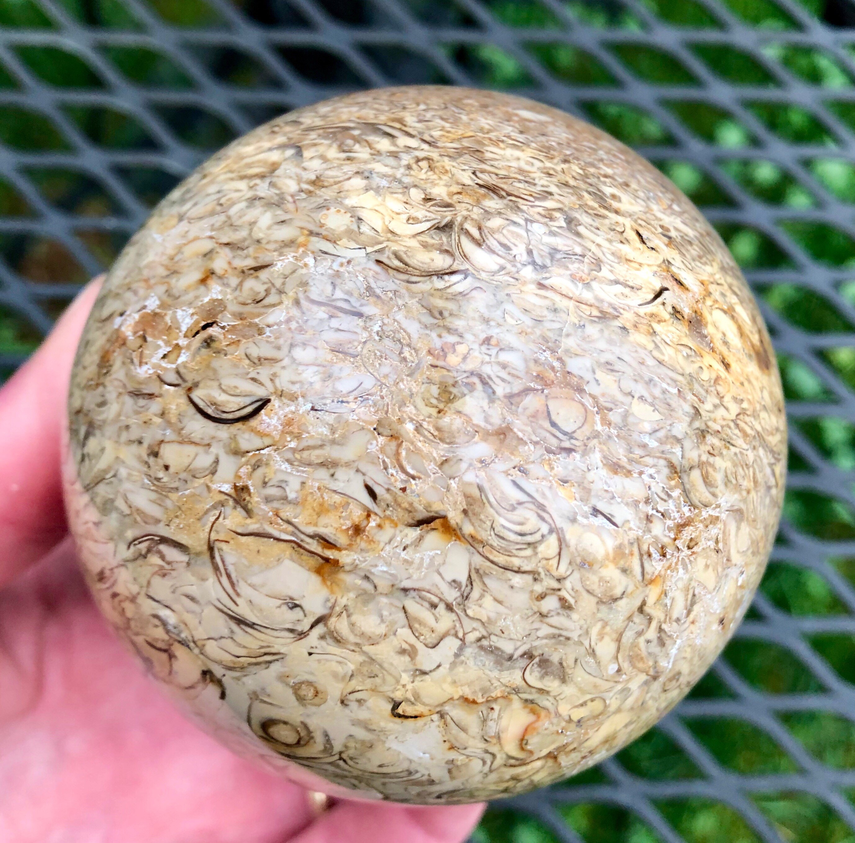 79mm Fossil Stone Jasper Sphere Orb Ball Mineral Display Specimen