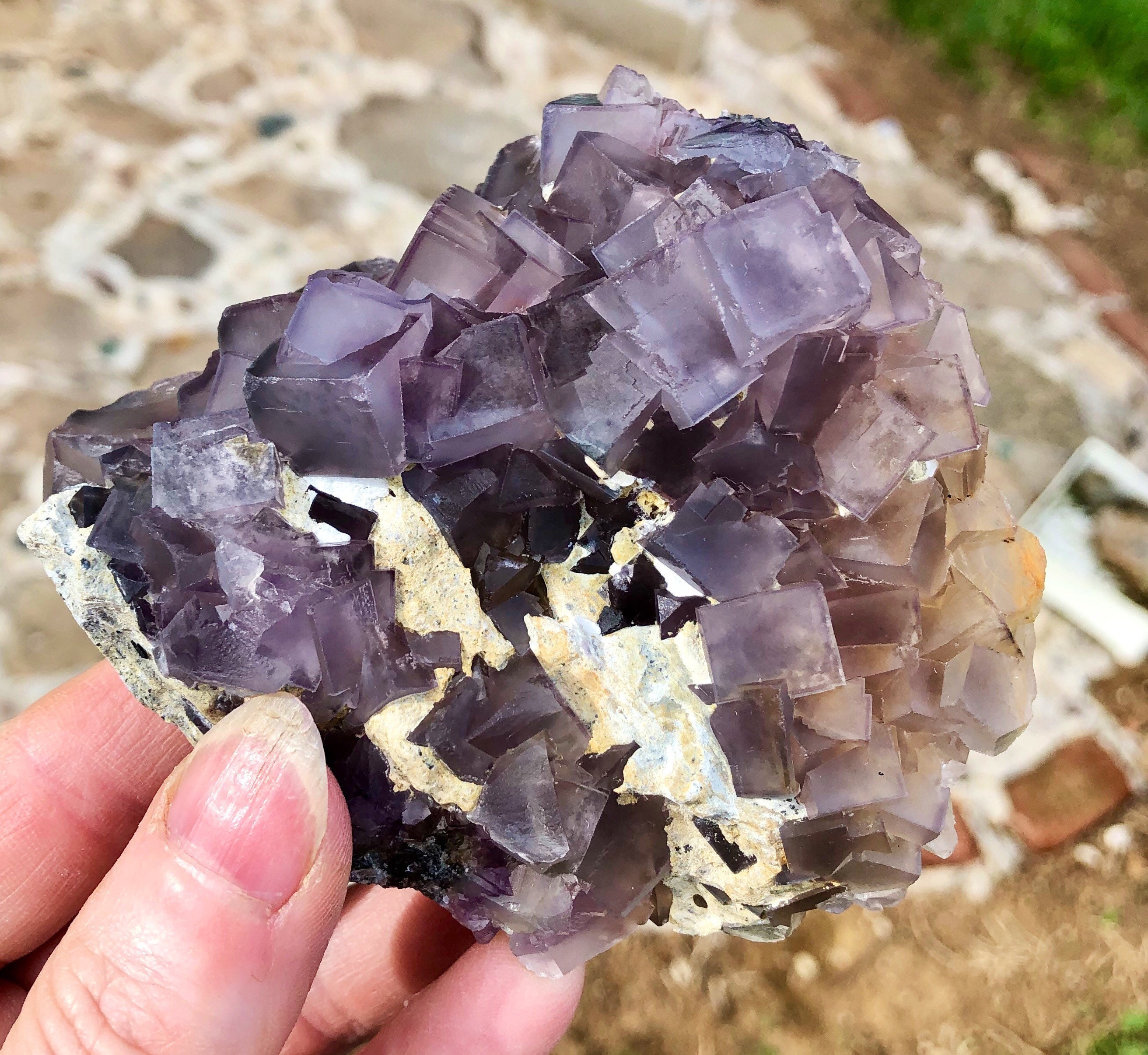 310g Purple Cubic Fluorite Crystal Cluster Mineral Display Specimen