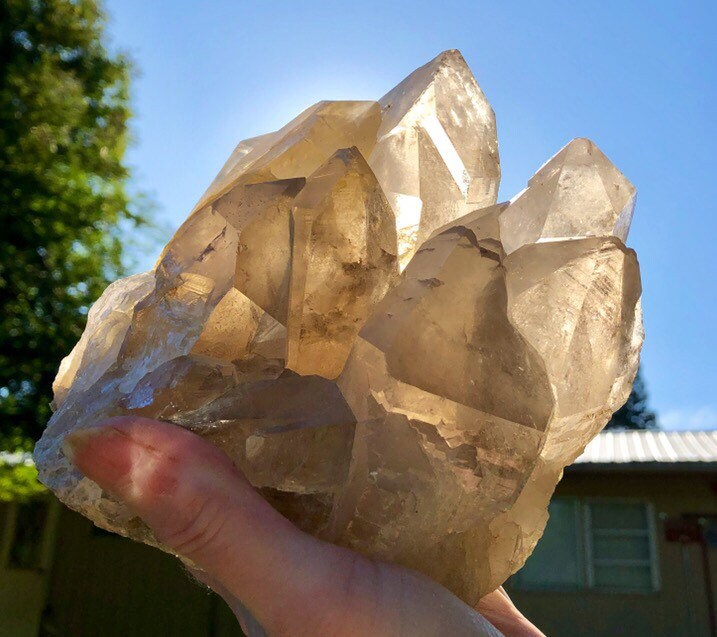 XL Smoky Rutilated Quartz Crystal Cluster Specimen