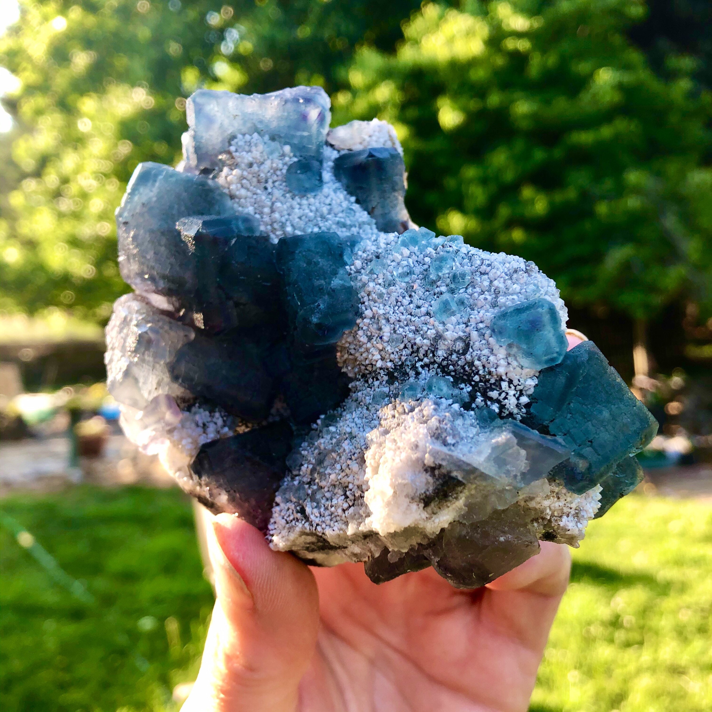 324g Blue Cubic Fluorite On White Dolomite Crystal Cluster Mineral ...