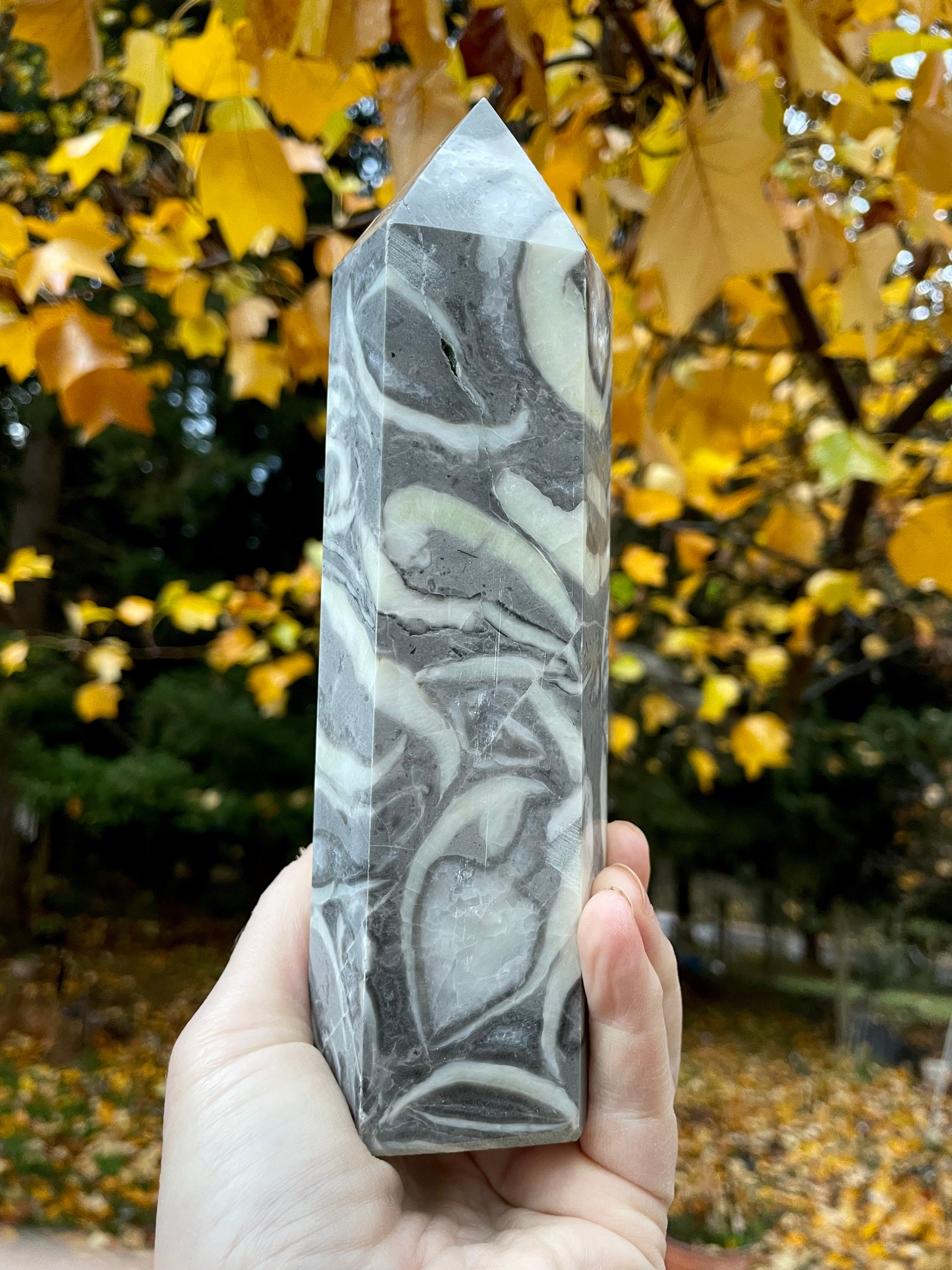2.22 lb Thousand Eyes Stone or Fossil Shellstone Jasper Obelisk Pillar ...