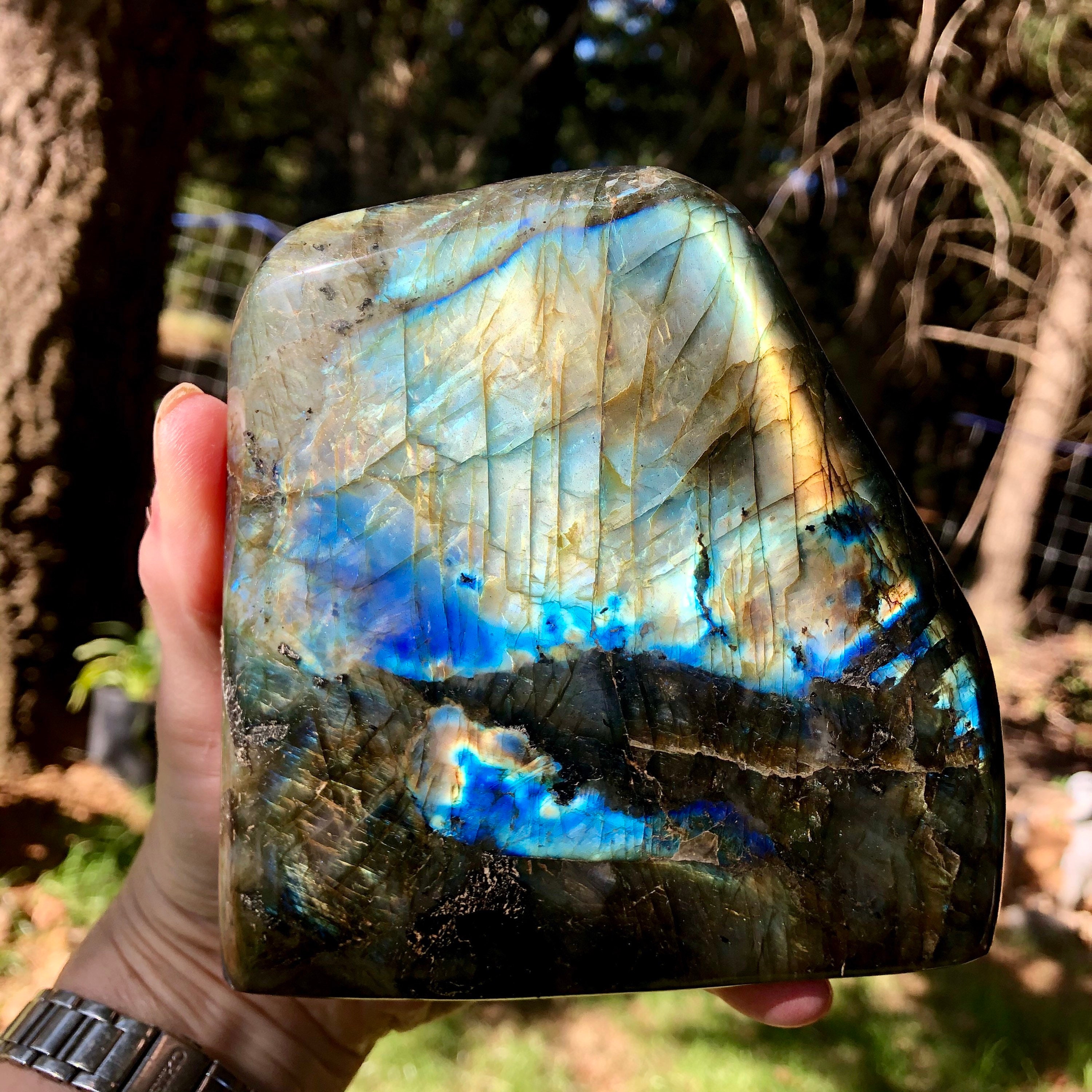 3.55 lbs Labradorite Spectralite Standing Freeform Display Specimen
