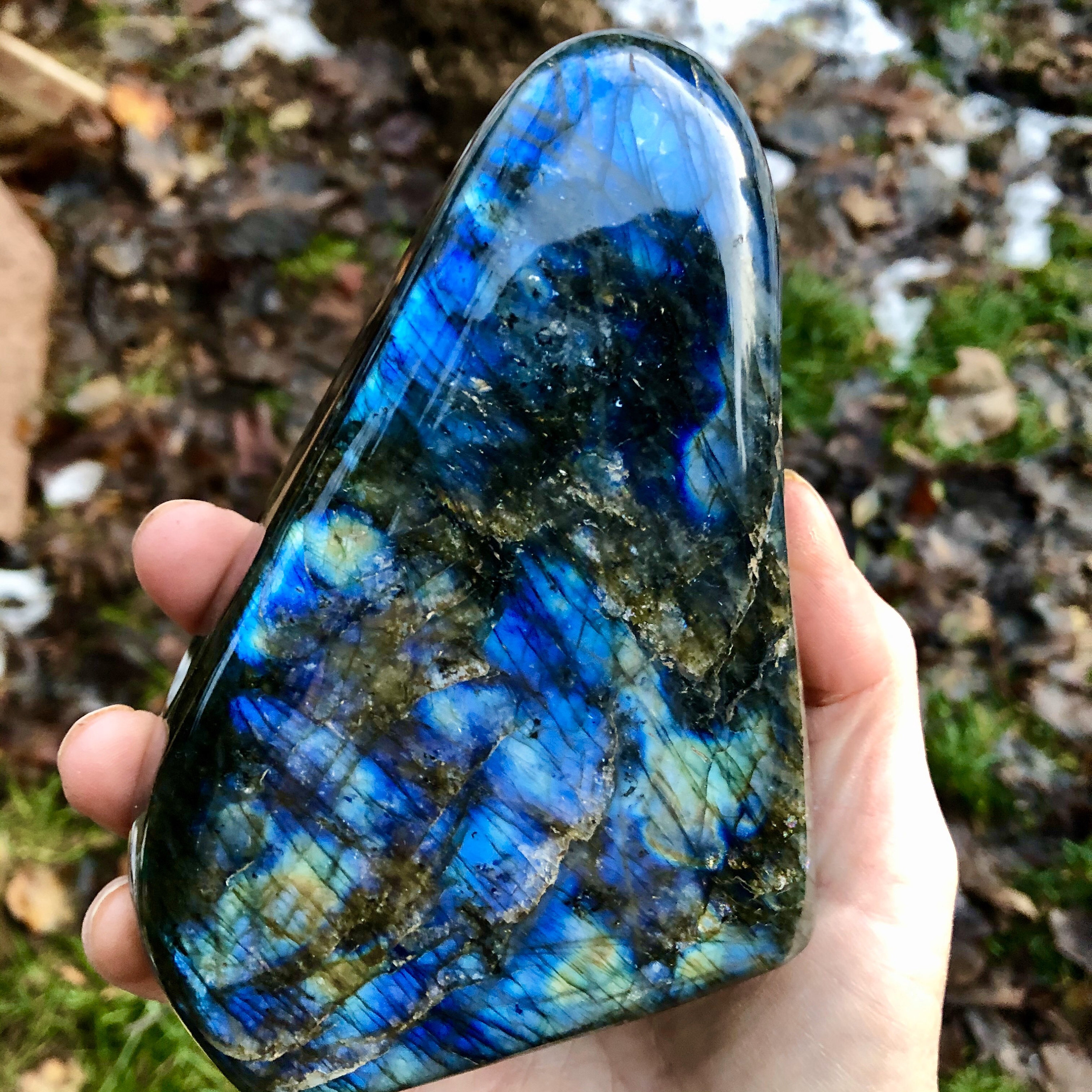 Blue Flash Spectralite Labradorite Standing Freeform Specimen