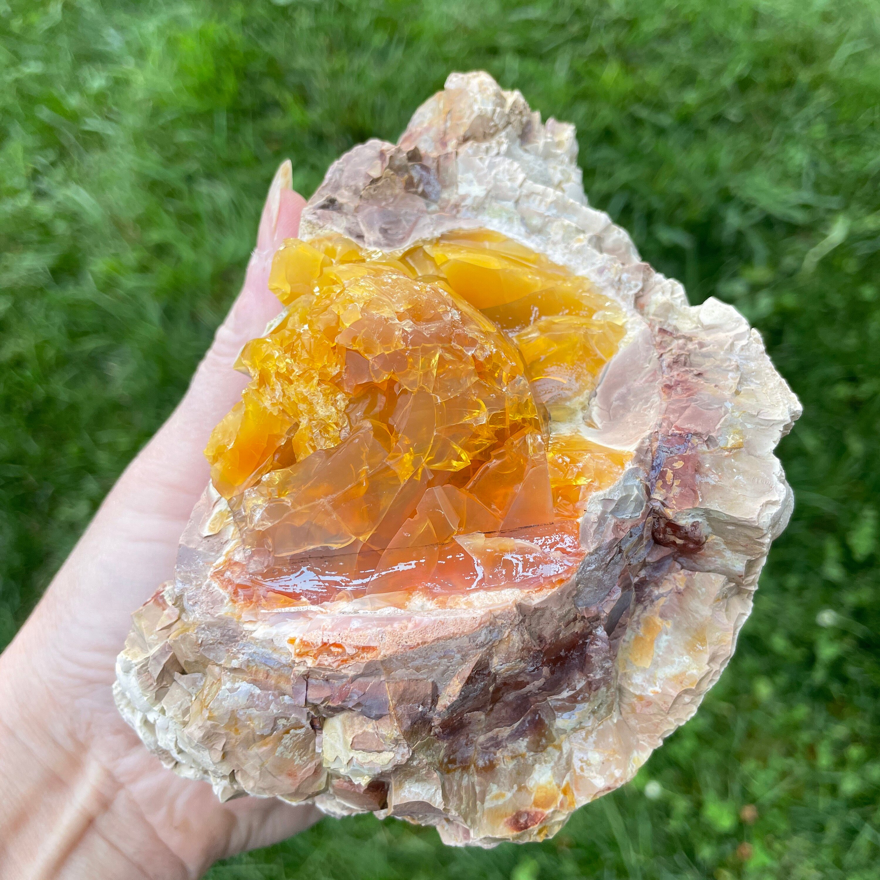 3.29 lb Oregon Opal in Rhyolite Jasper Mineral Display Specimen