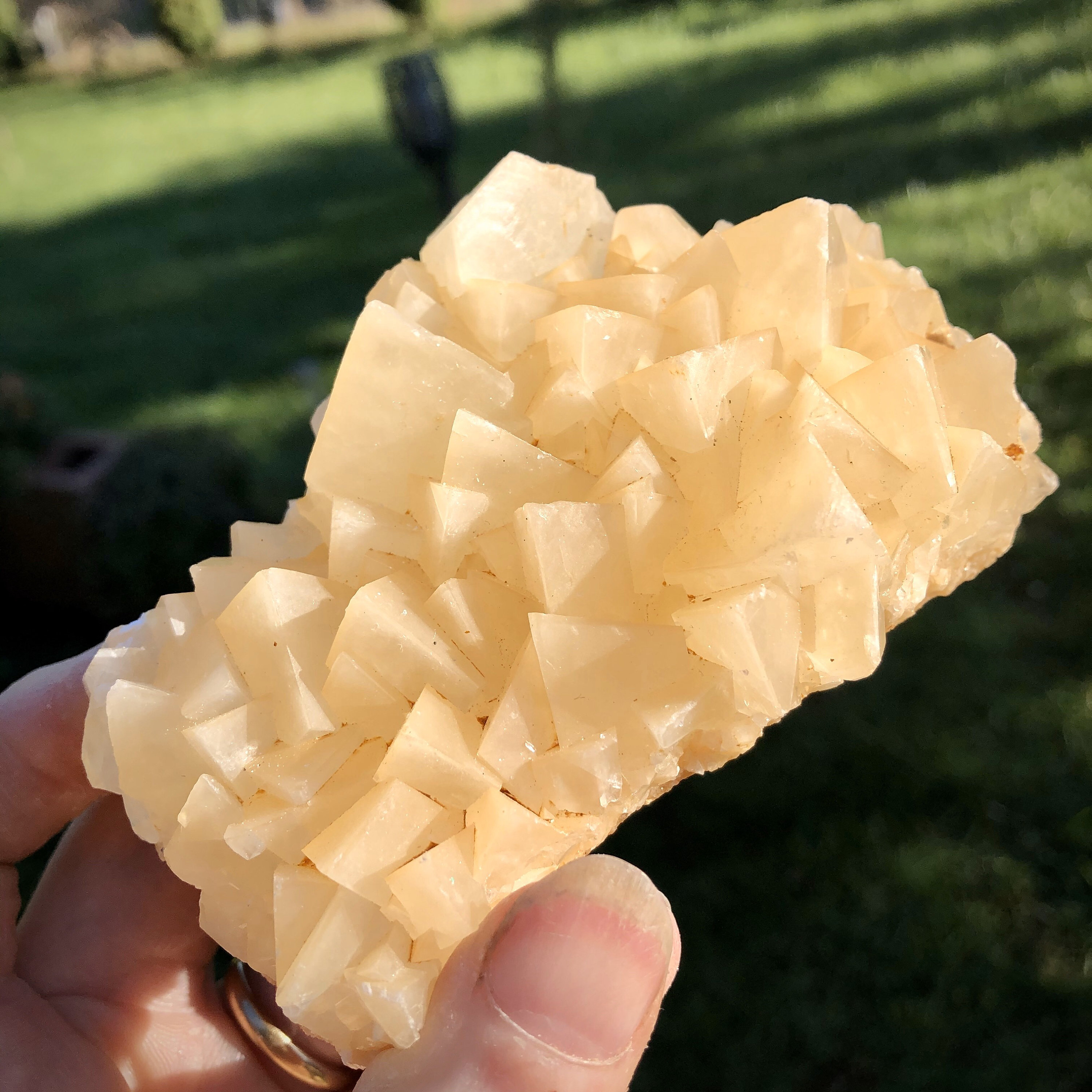 316g Yellow cubic and pyramid shaped Calcite crystal cluster mineral ...