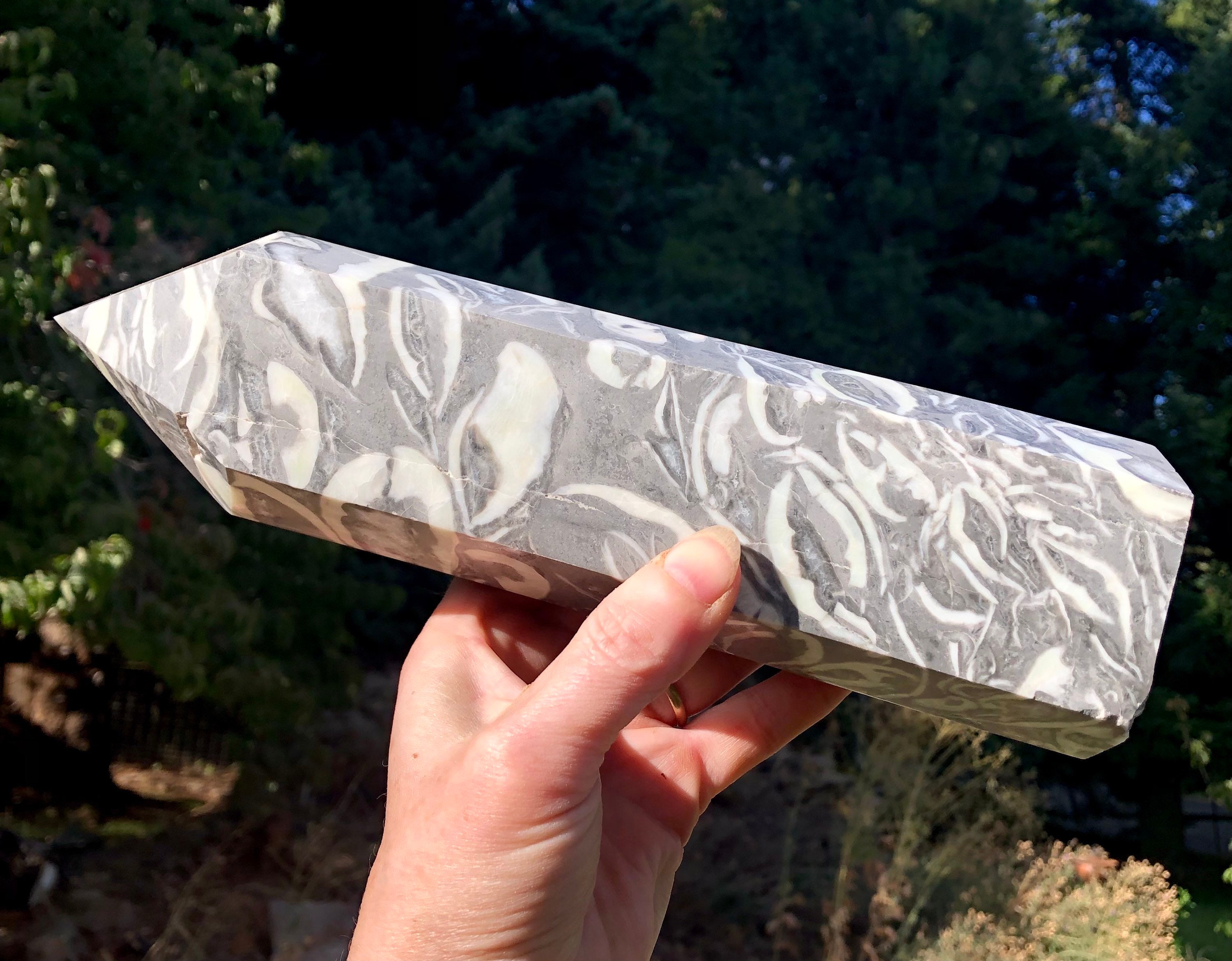 4.35 lb Thousand Eyes Stone aka Shellstone Jasper Obelisk Pillar Tower ...