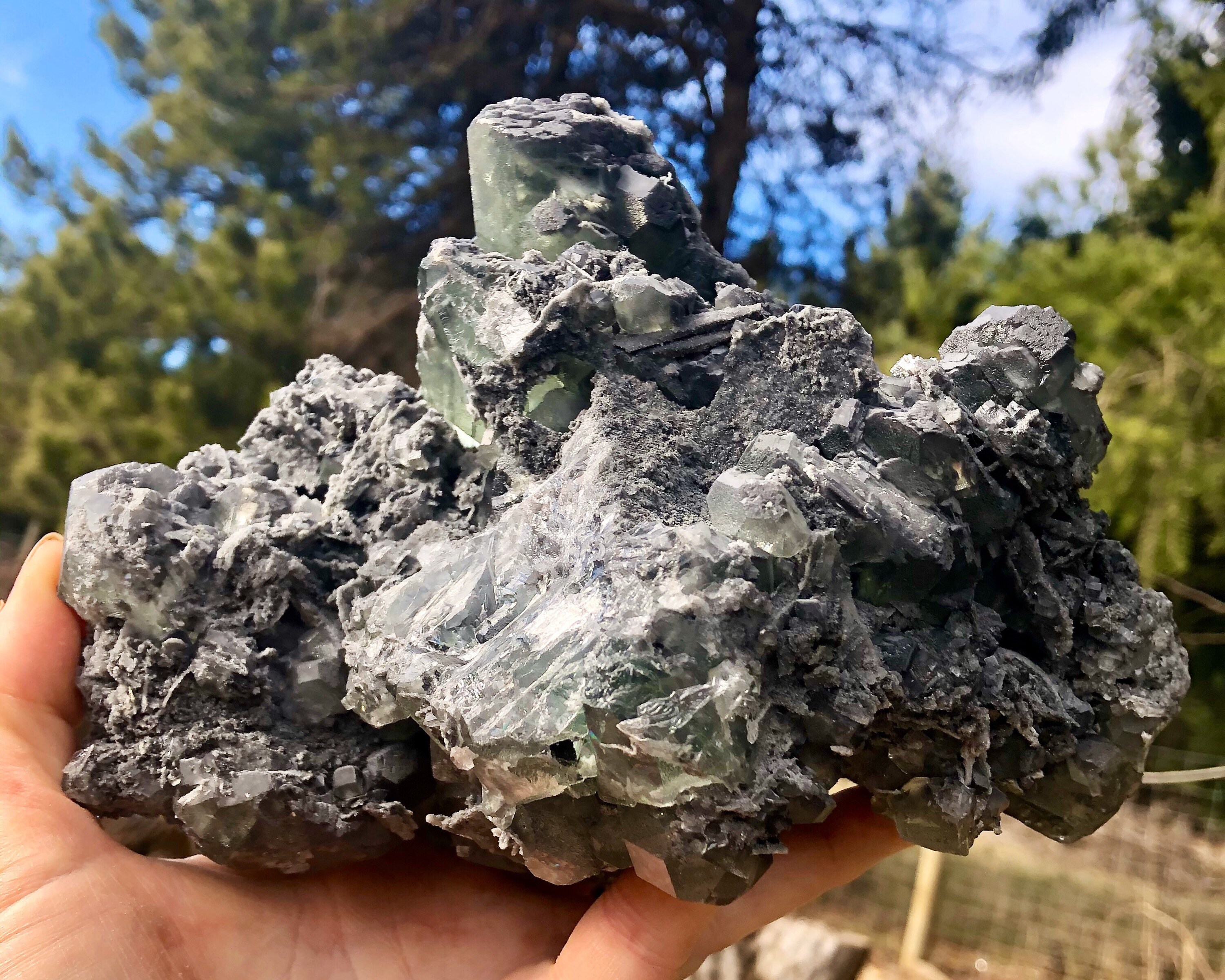 1978g Large Octagonal Green Fluorite On Druzy Gray Matrix Crystal ...