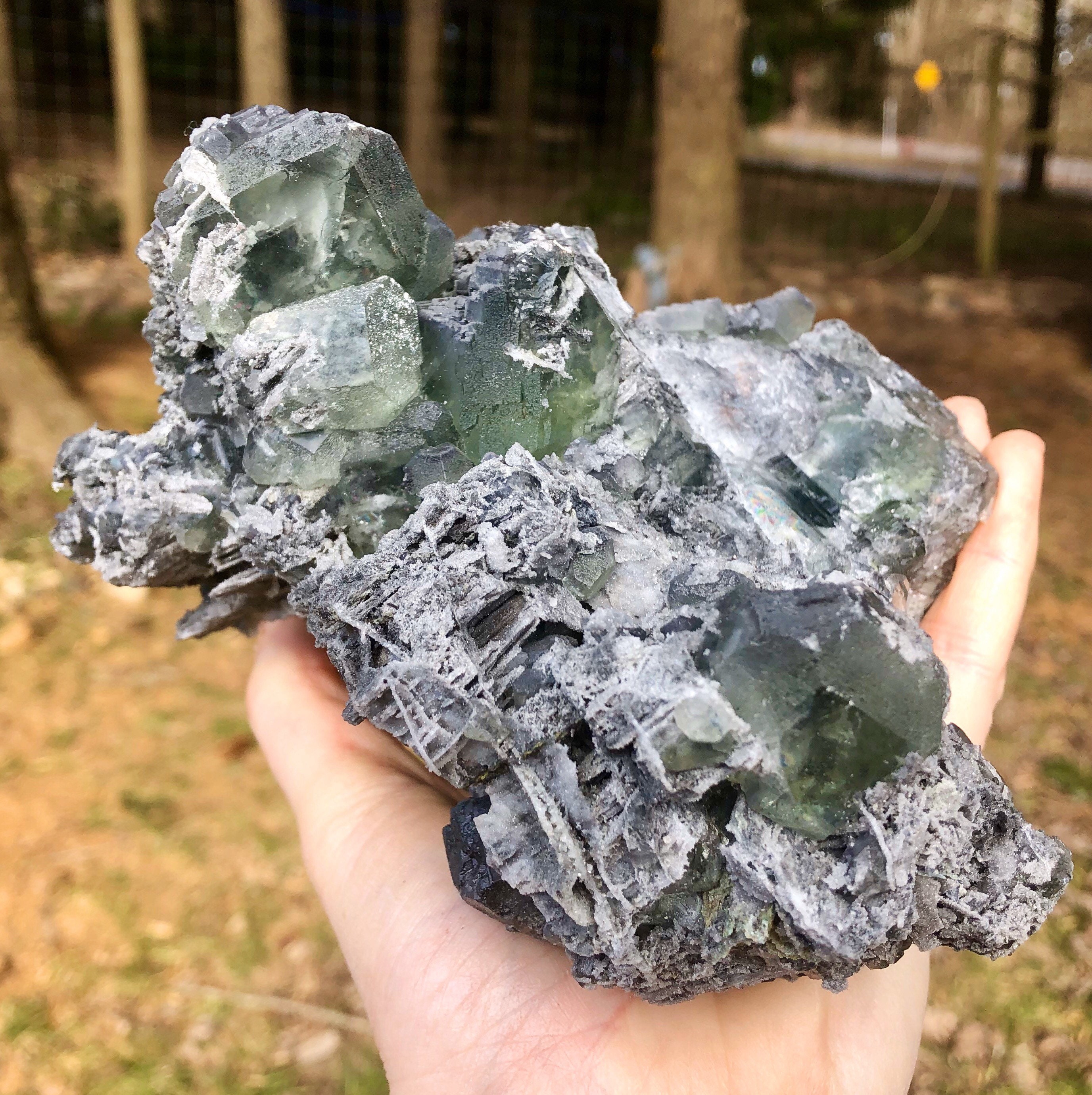 1978g Large Octagonal Green Fluorite On Druzy Gray Matrix Crystal ...