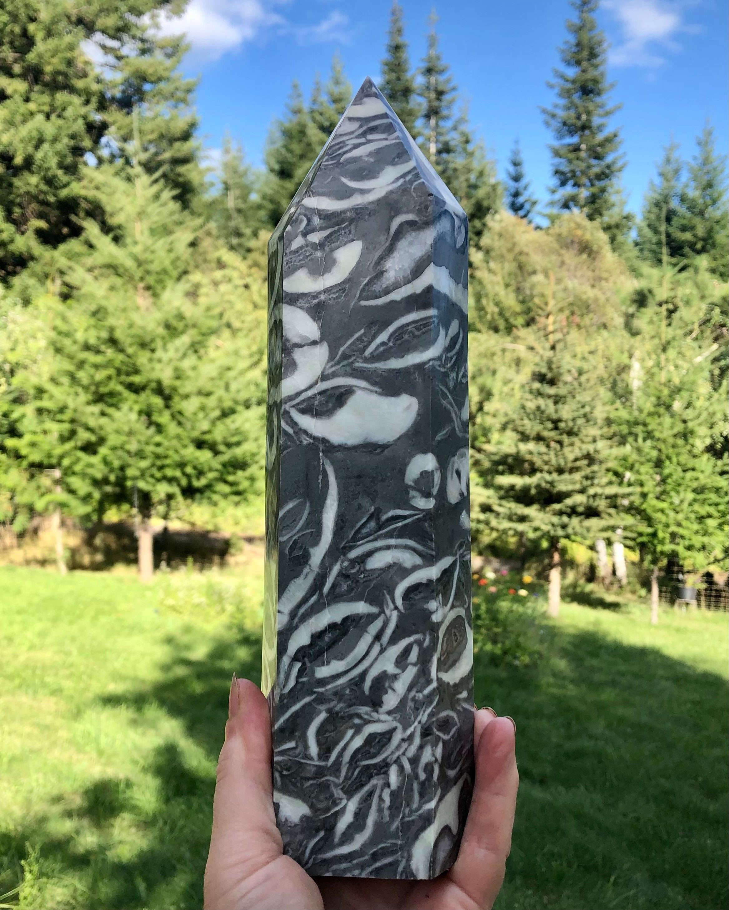 4.35 lb Thousand Eyes Stone aka Shellstone Jasper Obelisk Pillar Tower ...