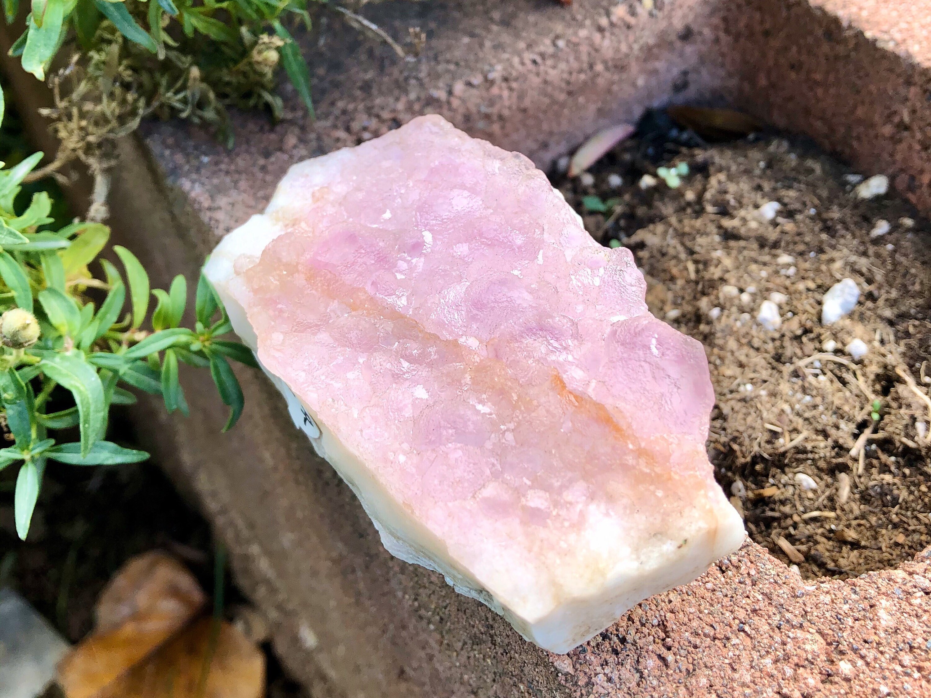 Pink Irregular Fluorite Crystal Cluster Specimen on White Quartz Matrix