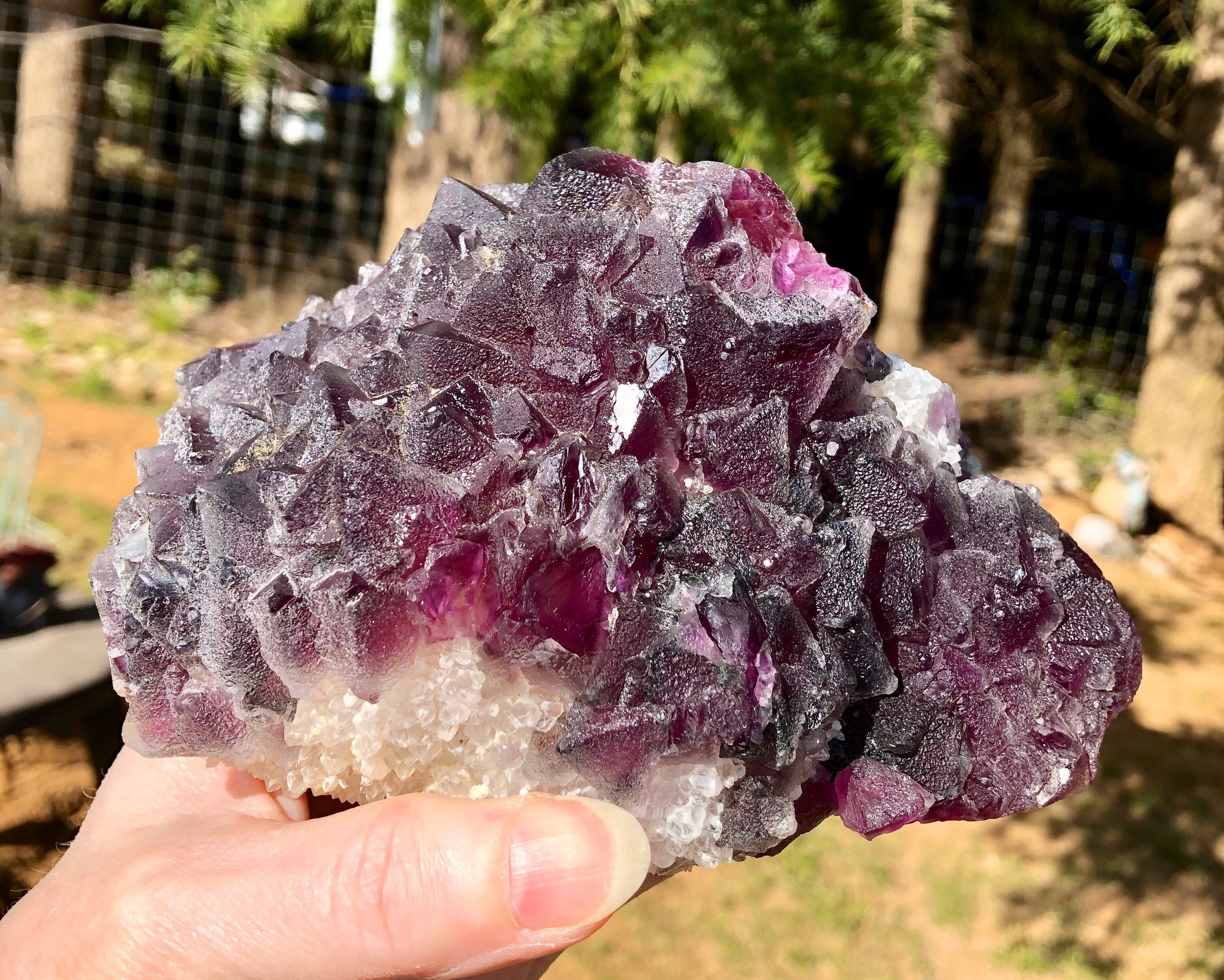 2.58 lbs Large Red Violet Trapezoidal Fluorite On White Matrix Crystal ...