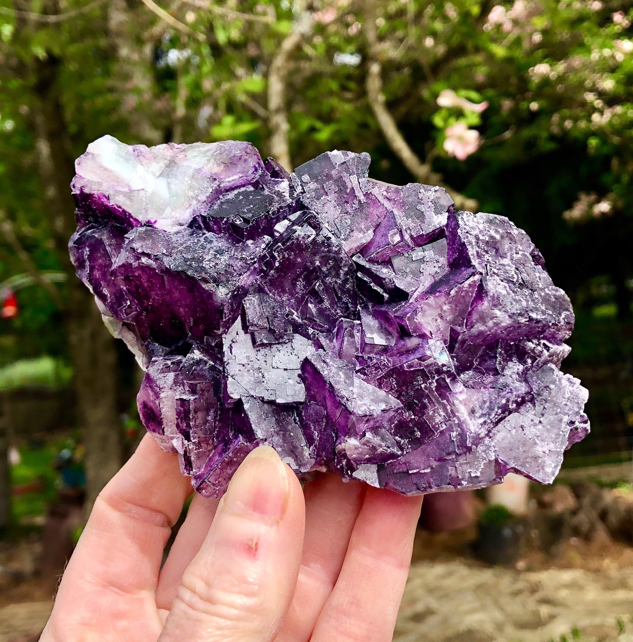 350g Dark Purple Cubic Ladder Fluorite Crystal Cluster Mineral Display ...