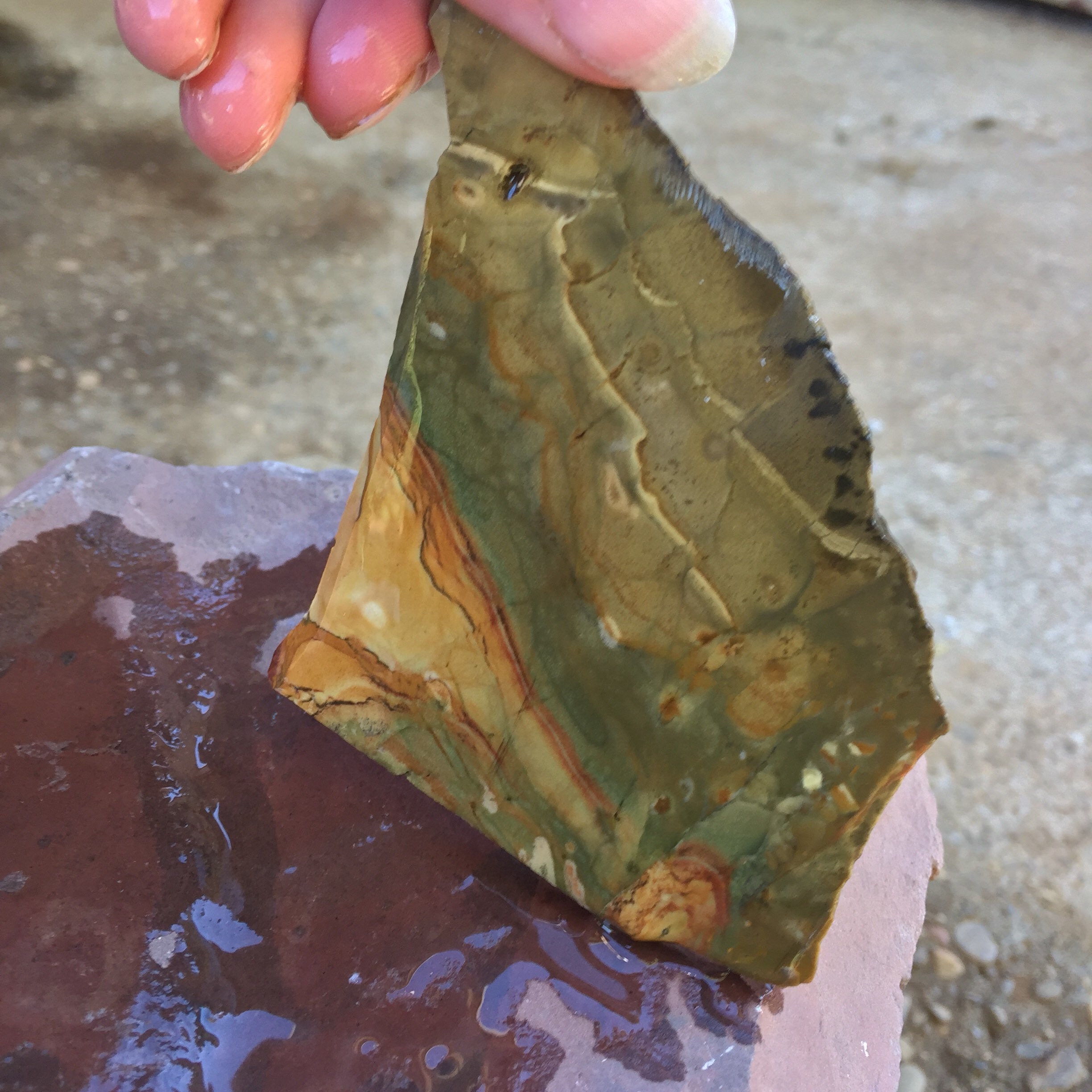 Rocky Butte Picture Jasper lapidary slab from Malheur County in Oregon