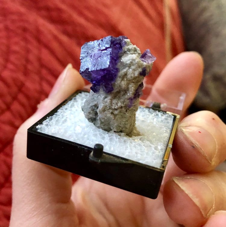 Fluorite display specimen with cubic purple Fluorite on matrix