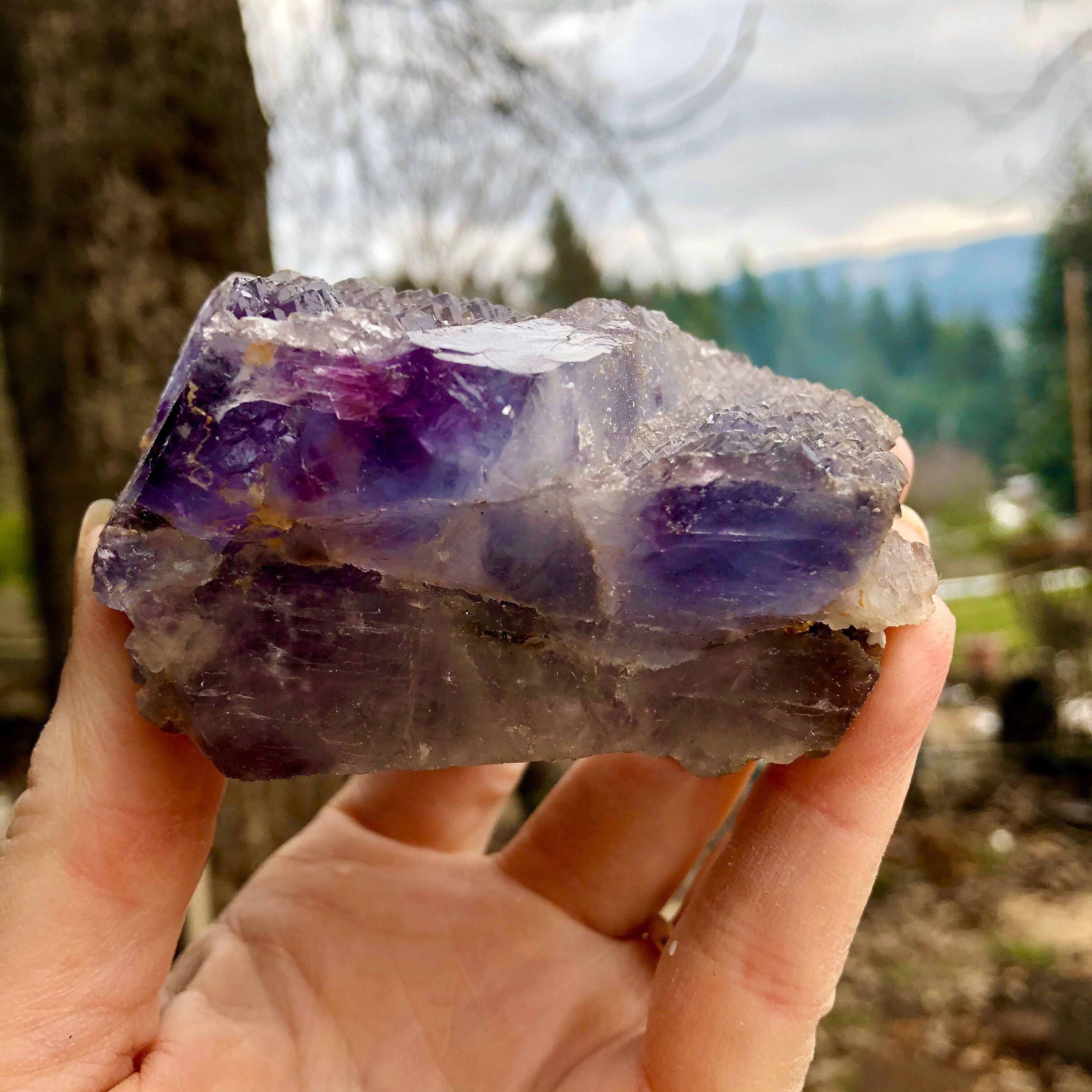370g Purple Ladder Type Fluorite Crystal Cluster Specimen with Pyrite
