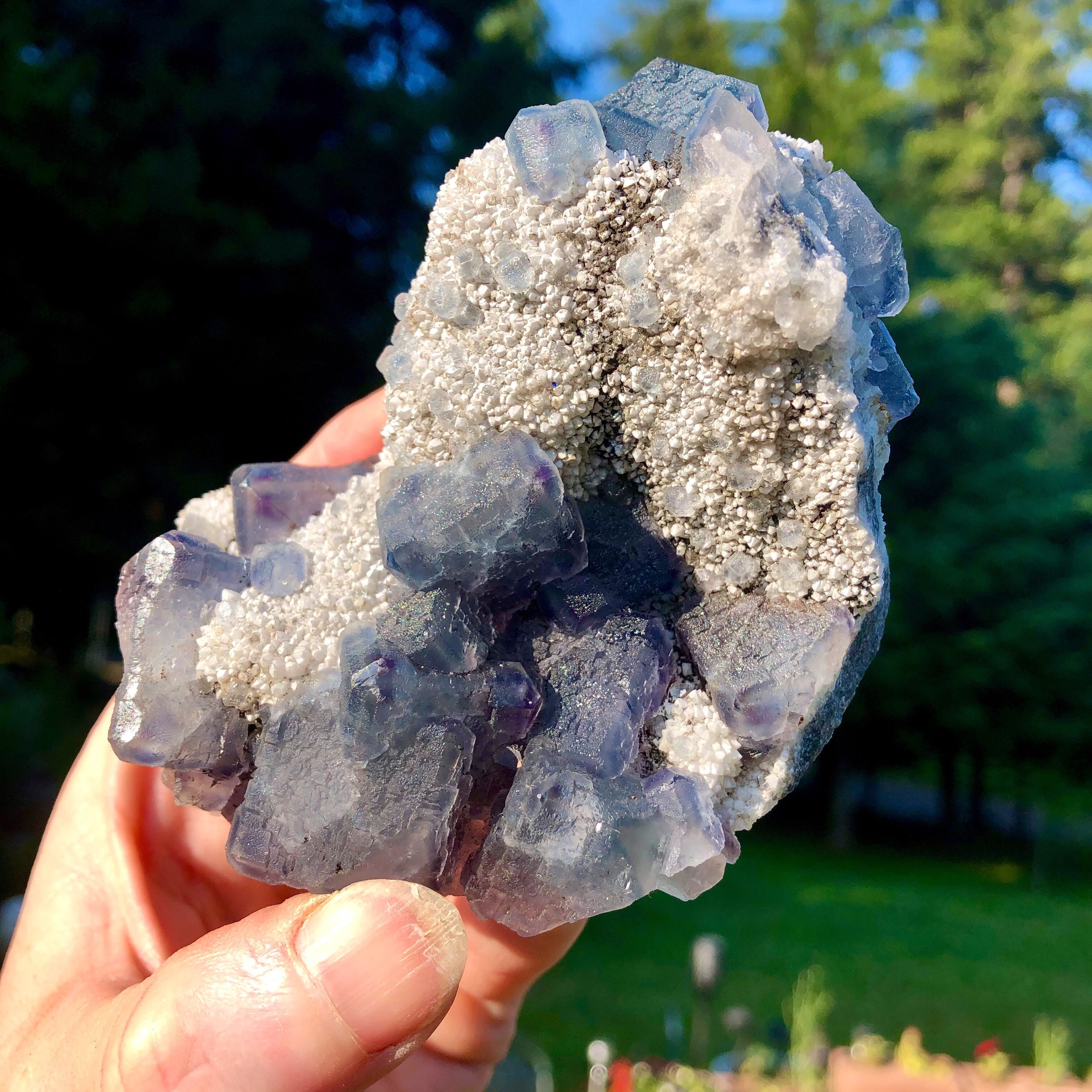 324g Blue Cubic Fluorite On White Dolomite Crystal Cluster Mineral ...