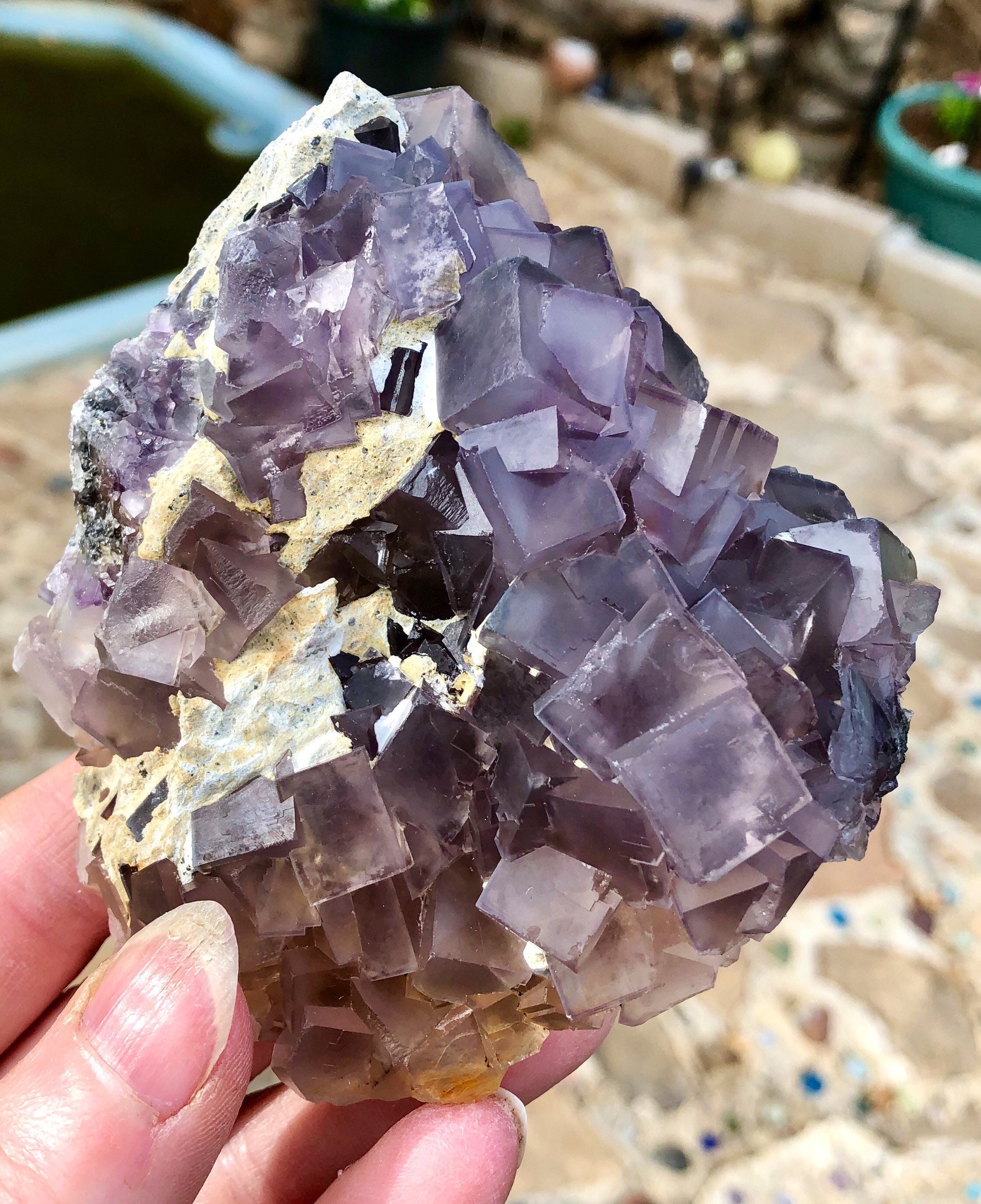 310g Purple Cubic Fluorite Crystal Cluster Mineral Display Specimen