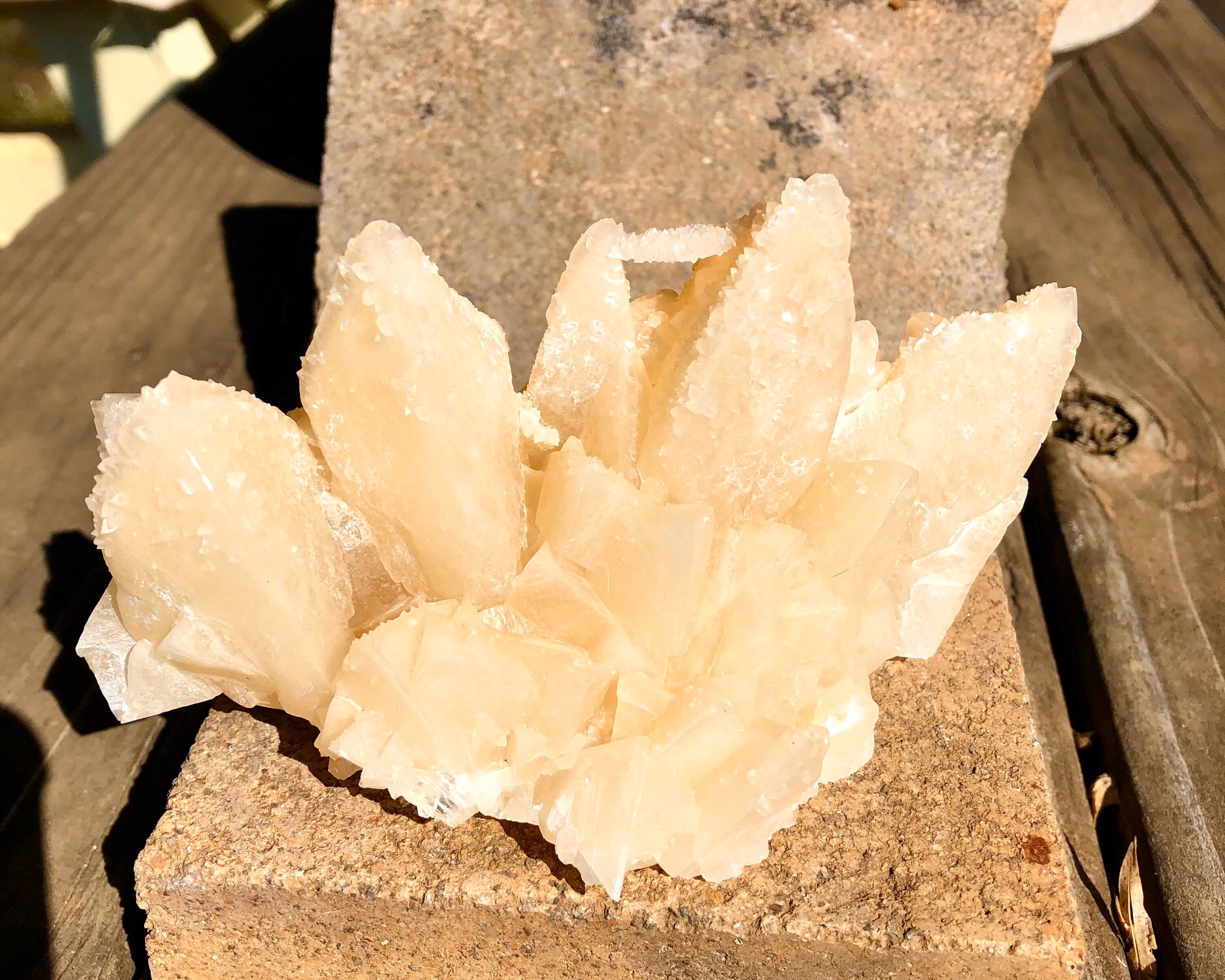 440g Golden Yellow Dogtooth Calcite Crystal Cluster Mineral Display ...
