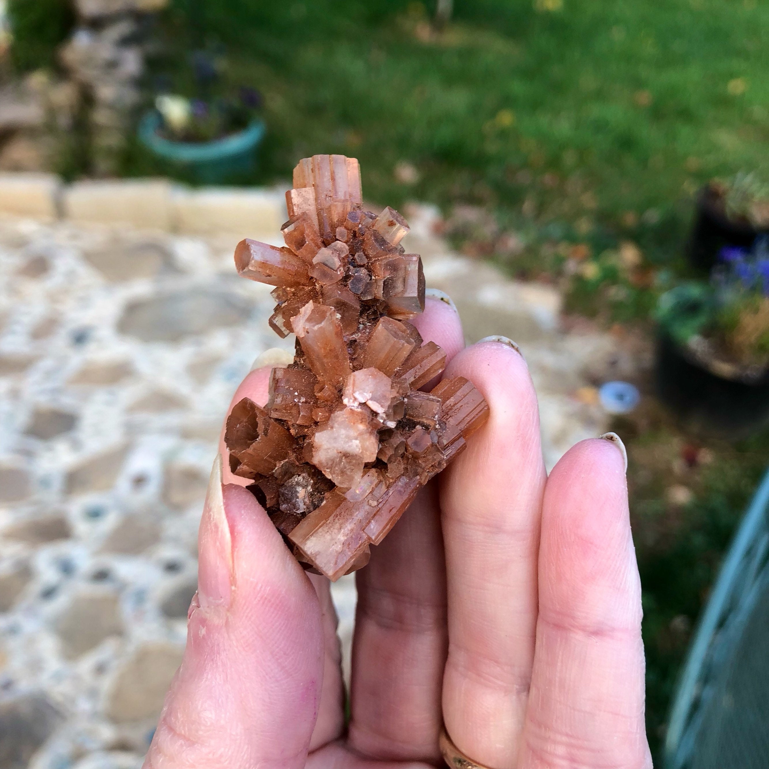 Double Aragonite Star Cluster Crystal