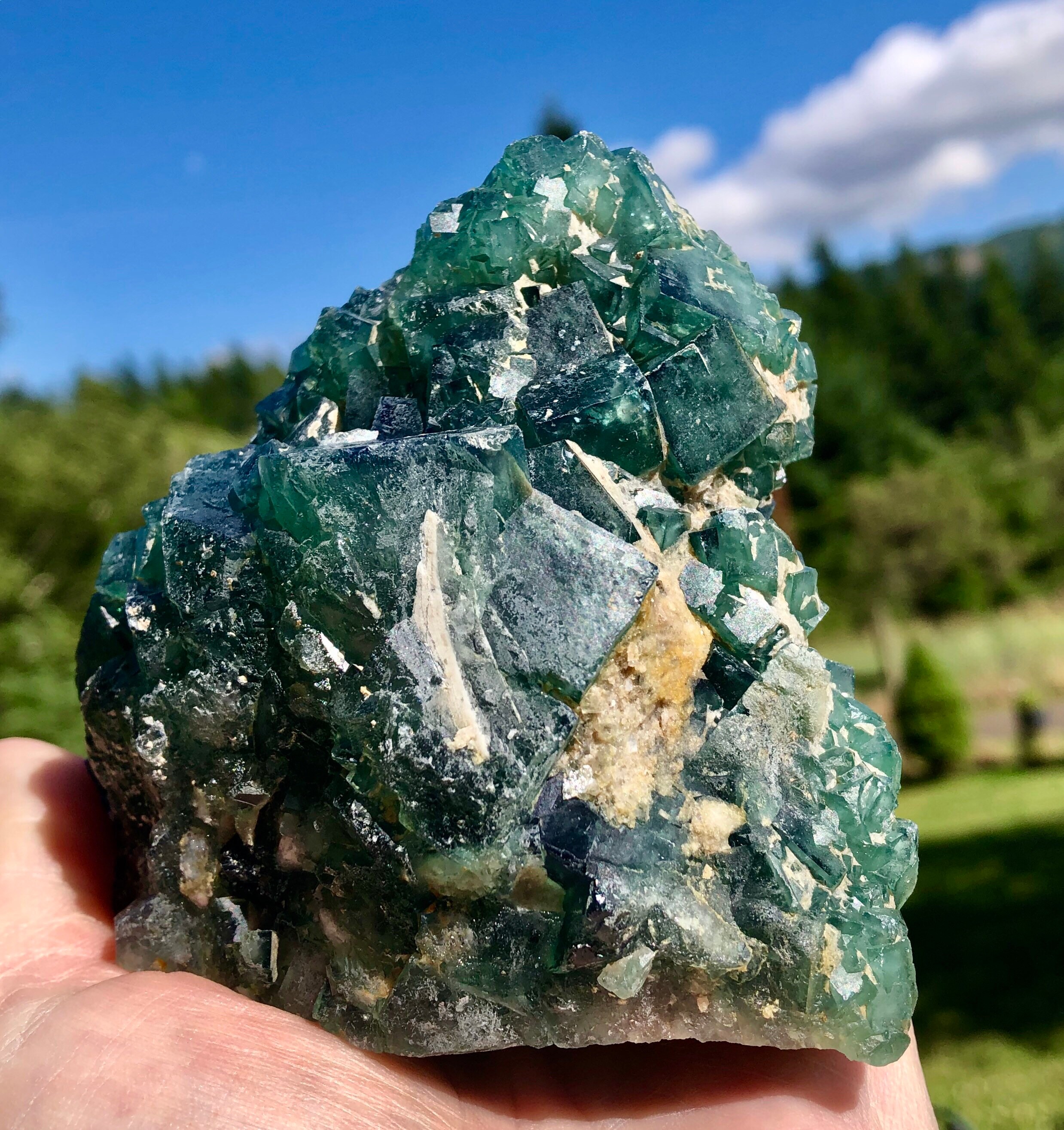 864g Upright Green Cubic Fluorite Crystal Cluster Standing Mineral ...