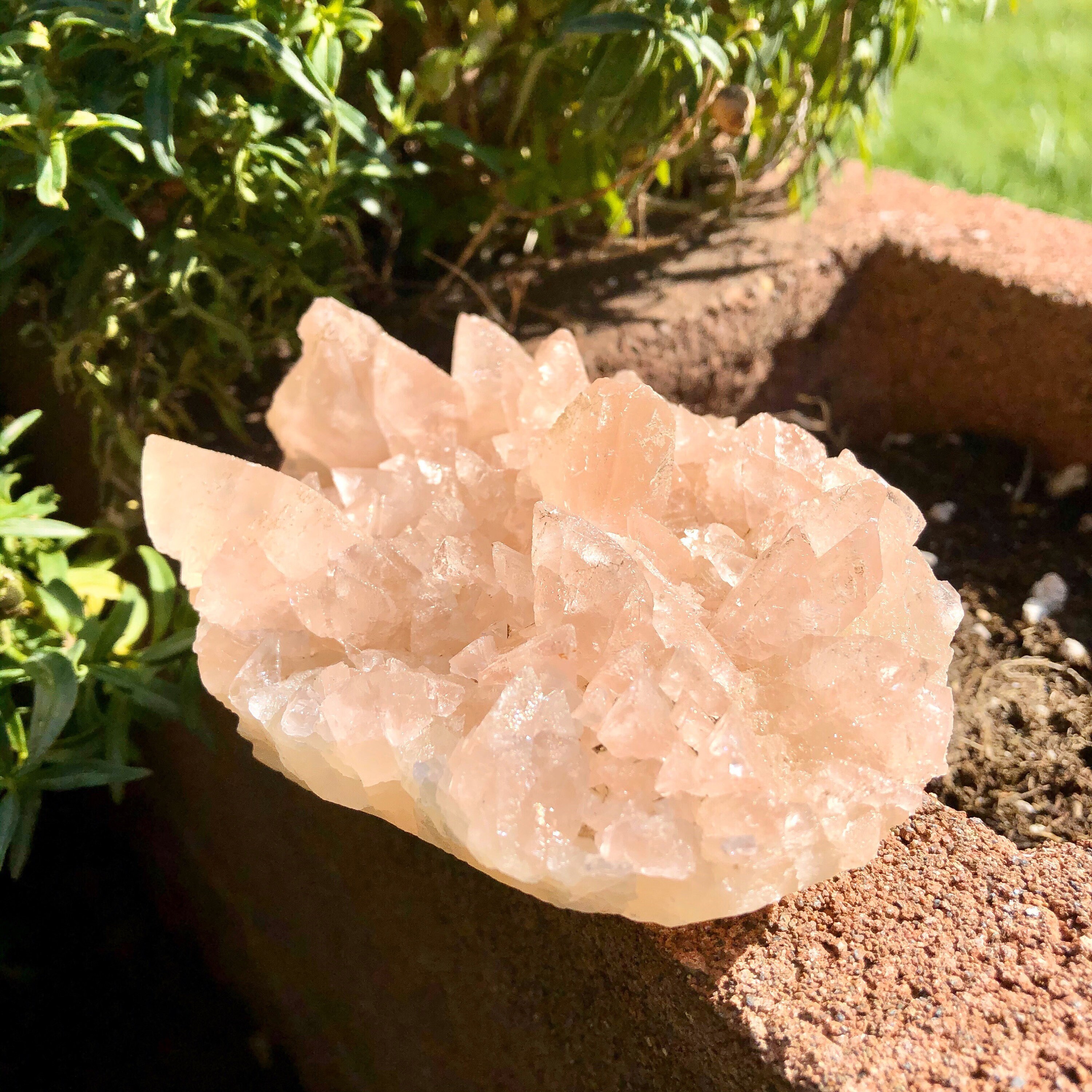 Pale Pink Dogtooth Calcite Fluorescent Crystal Cluster Specimen