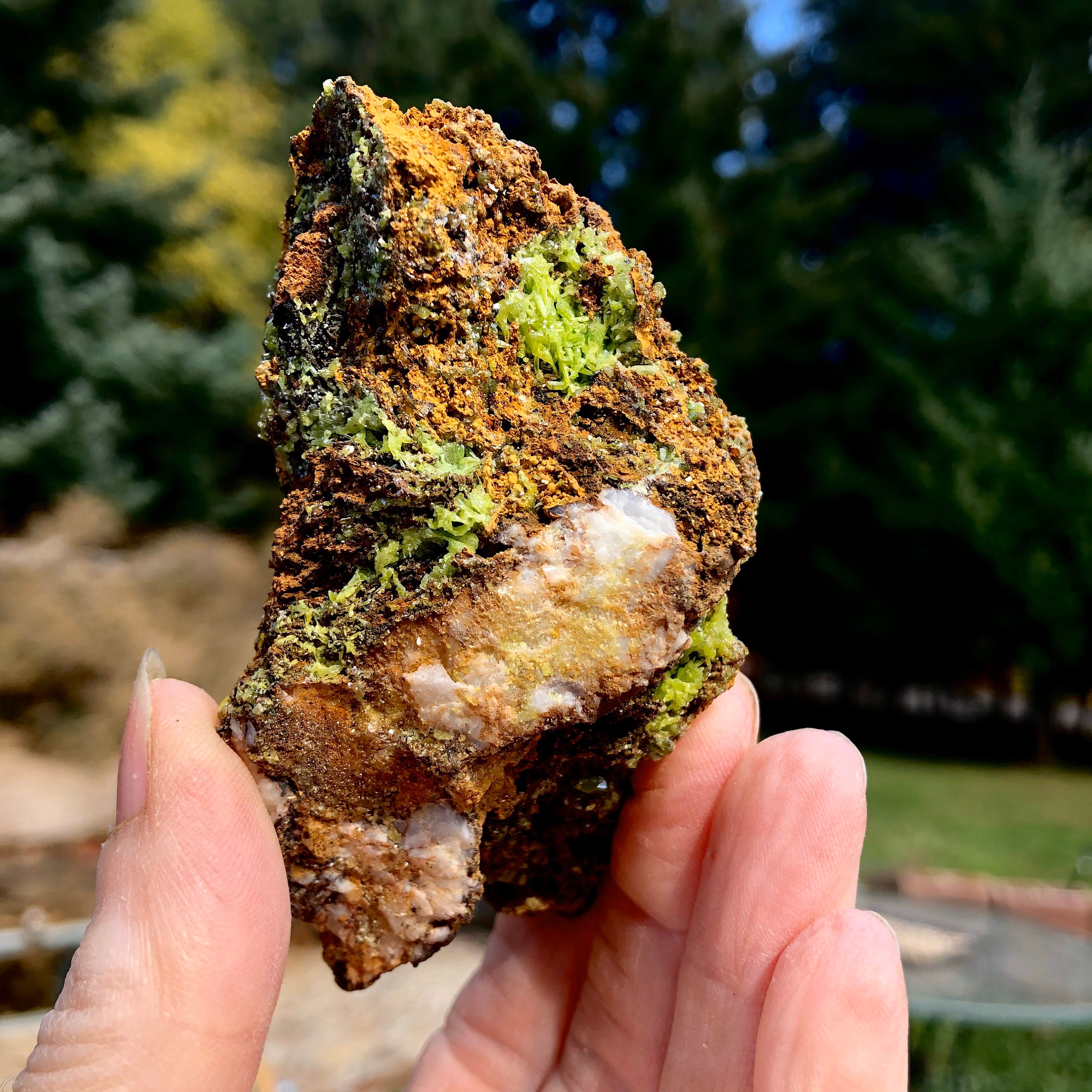 186g Pyromorphite Crystal Cluster Specimen on Matrix